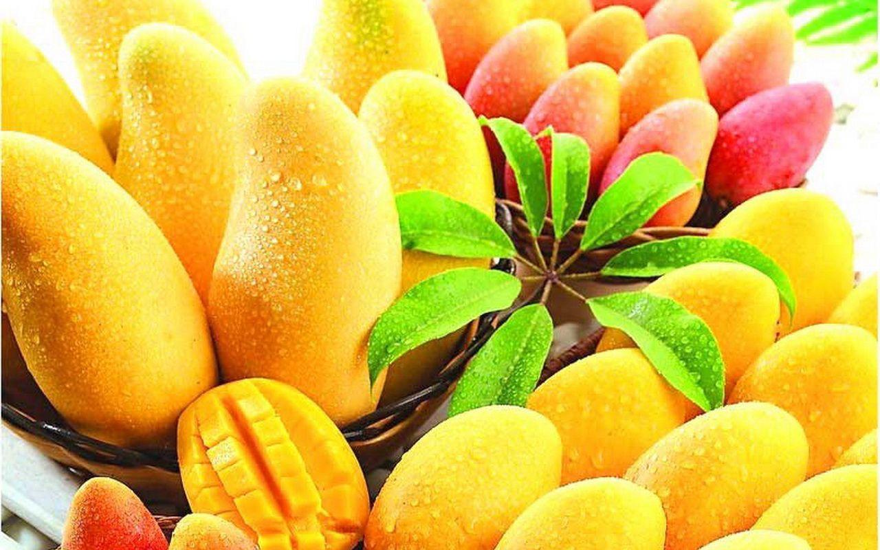 Cute Mango Wallpapers - Top Free Cute Mango Backgrounds - WallpaperAccess