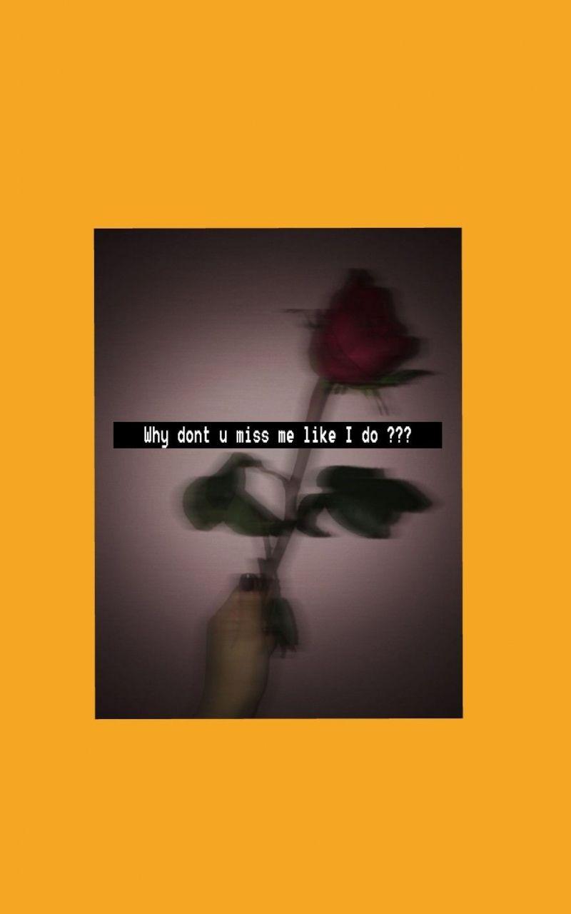 Sad Rose Wallpapers - Top Free Sad Rose Backgrounds - WallpaperAccess