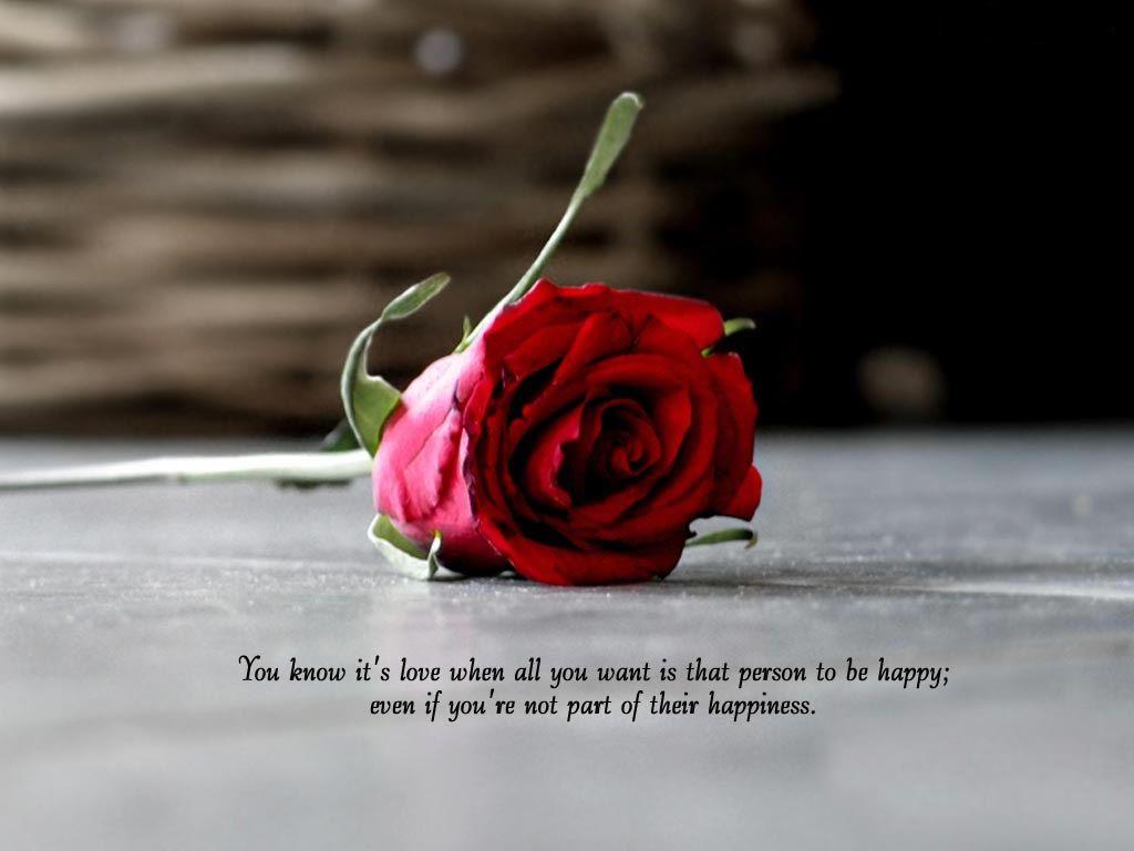 Sad Rose Wallpapers - Top Free Sad Rose Backgrounds - WallpaperAccess