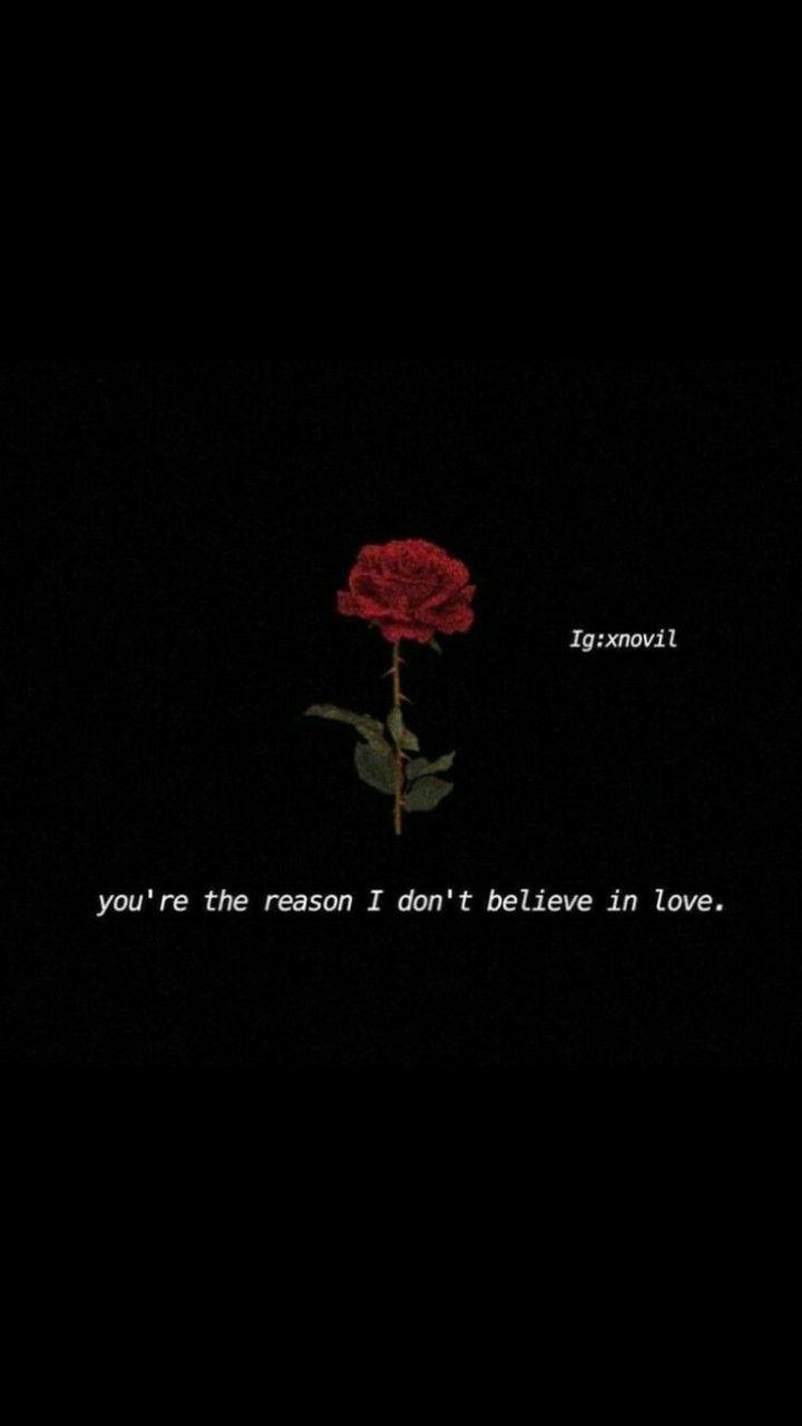 Sad Rose Wallpapers - Top Free Sad Rose Backgrounds - WallpaperAccess