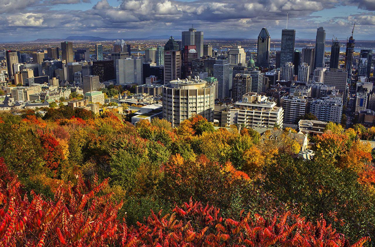 Montreal Canada Wallpapers - Top Free Montreal Canada Backgrounds ...