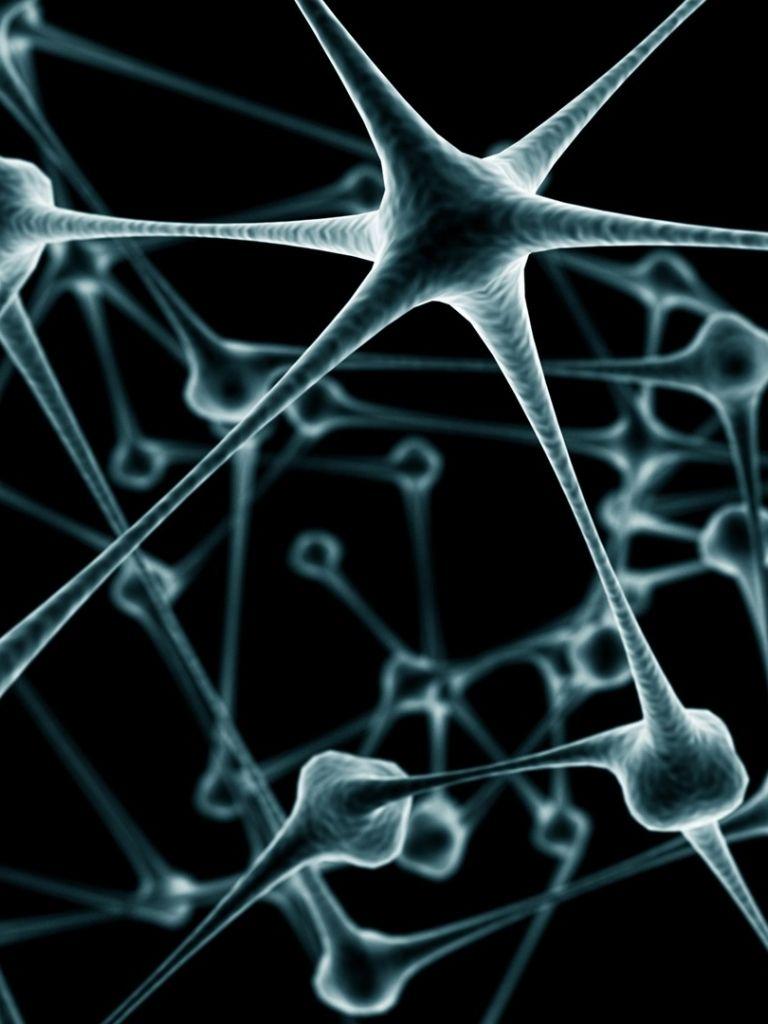 Nerves Wallpapers - Top Free Nerves Backgrounds - WallpaperAccess