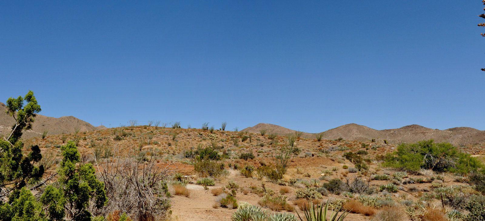 California Desert Wallpapers - Top Free California Desert Backgrounds ...