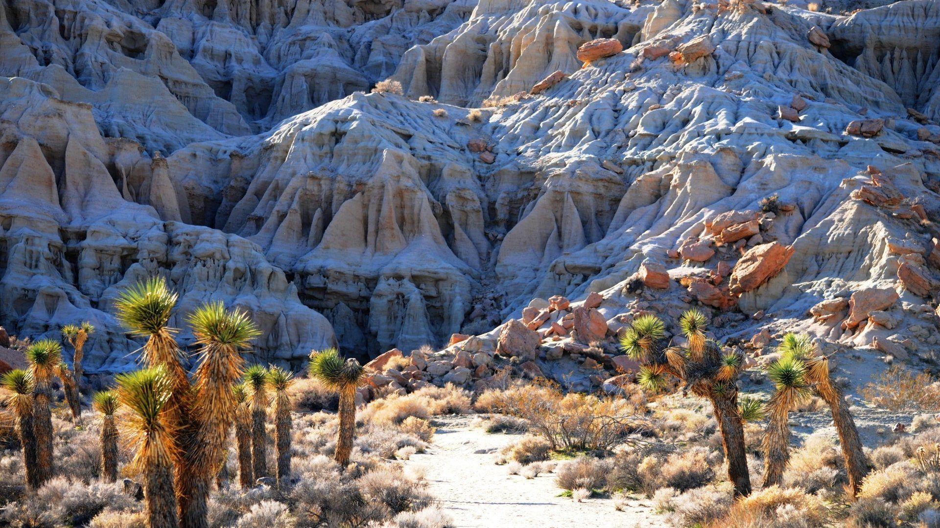 California Desert Wallpapers - Top Free California Desert Backgrounds ...