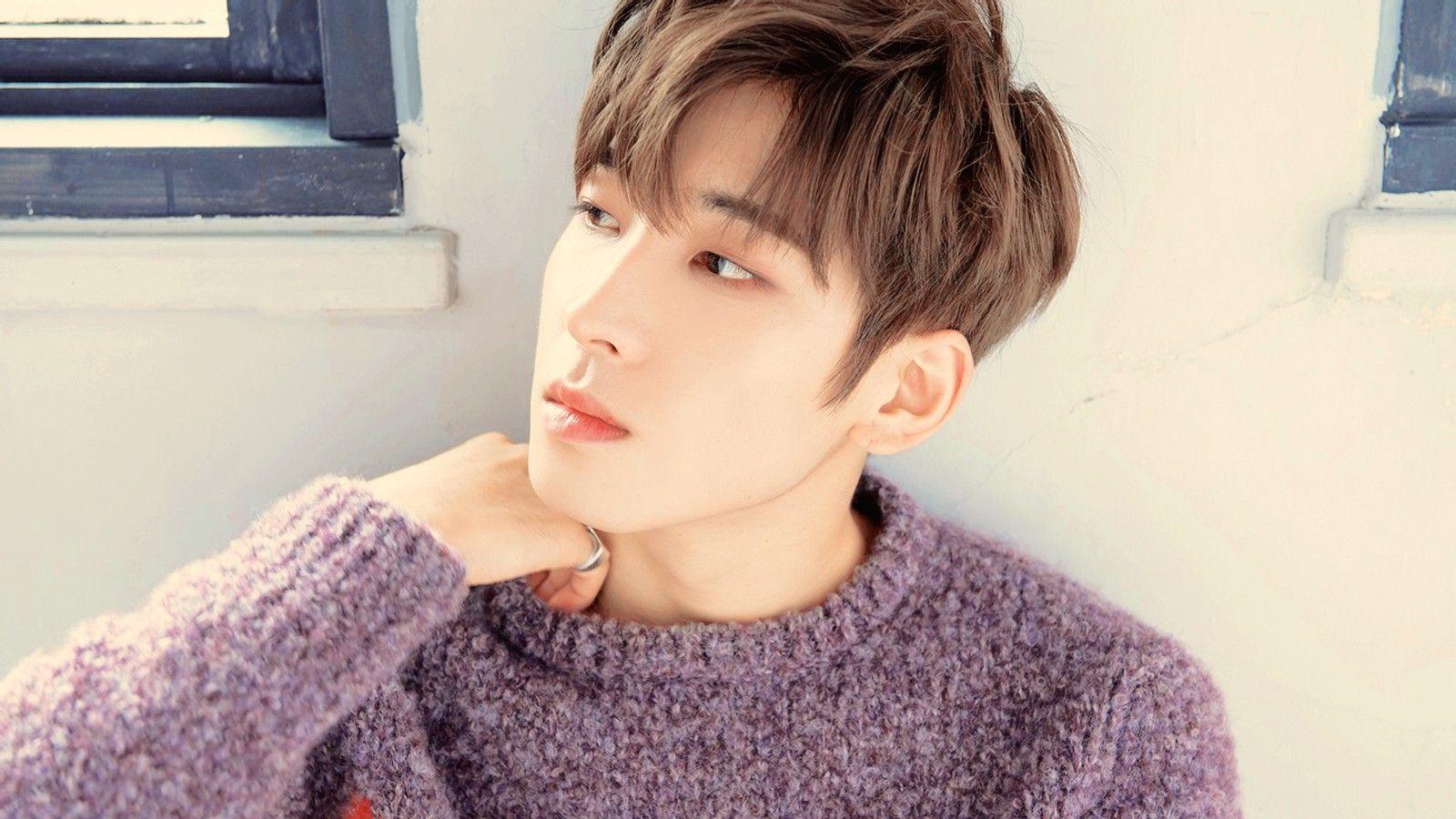 Jeon Wonwoo Wallpapers - Top Free Jeon Wonwoo Backgrounds - WallpaperAccess