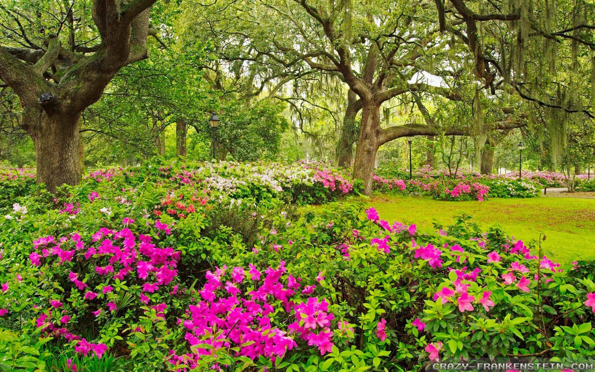 Flower Garden Wallpapers - Top Free Flower Garden Backgrounds ...