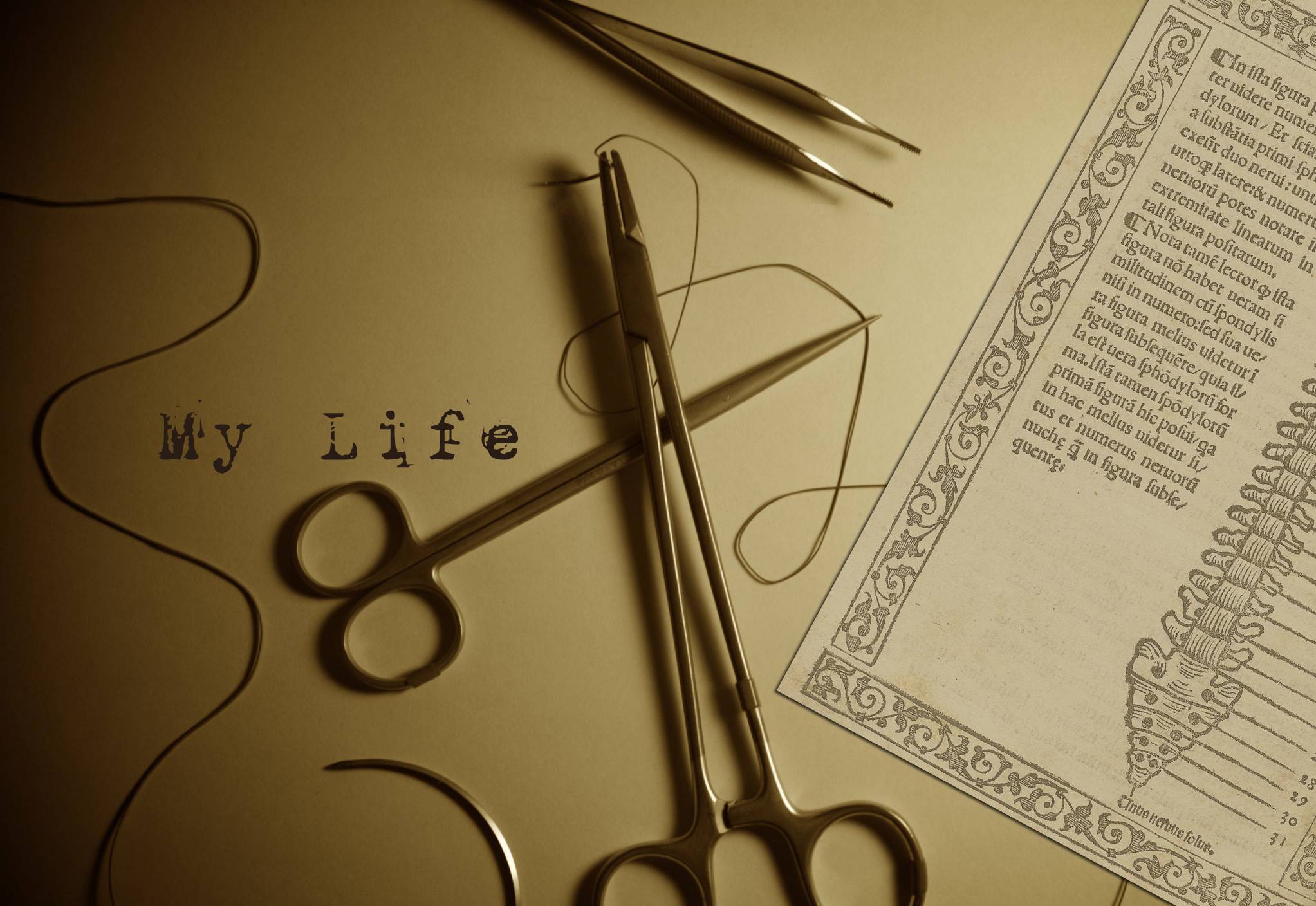 Medical Anatomy Wallpapers - Top Free Medical Anatomy Backgrounds ...