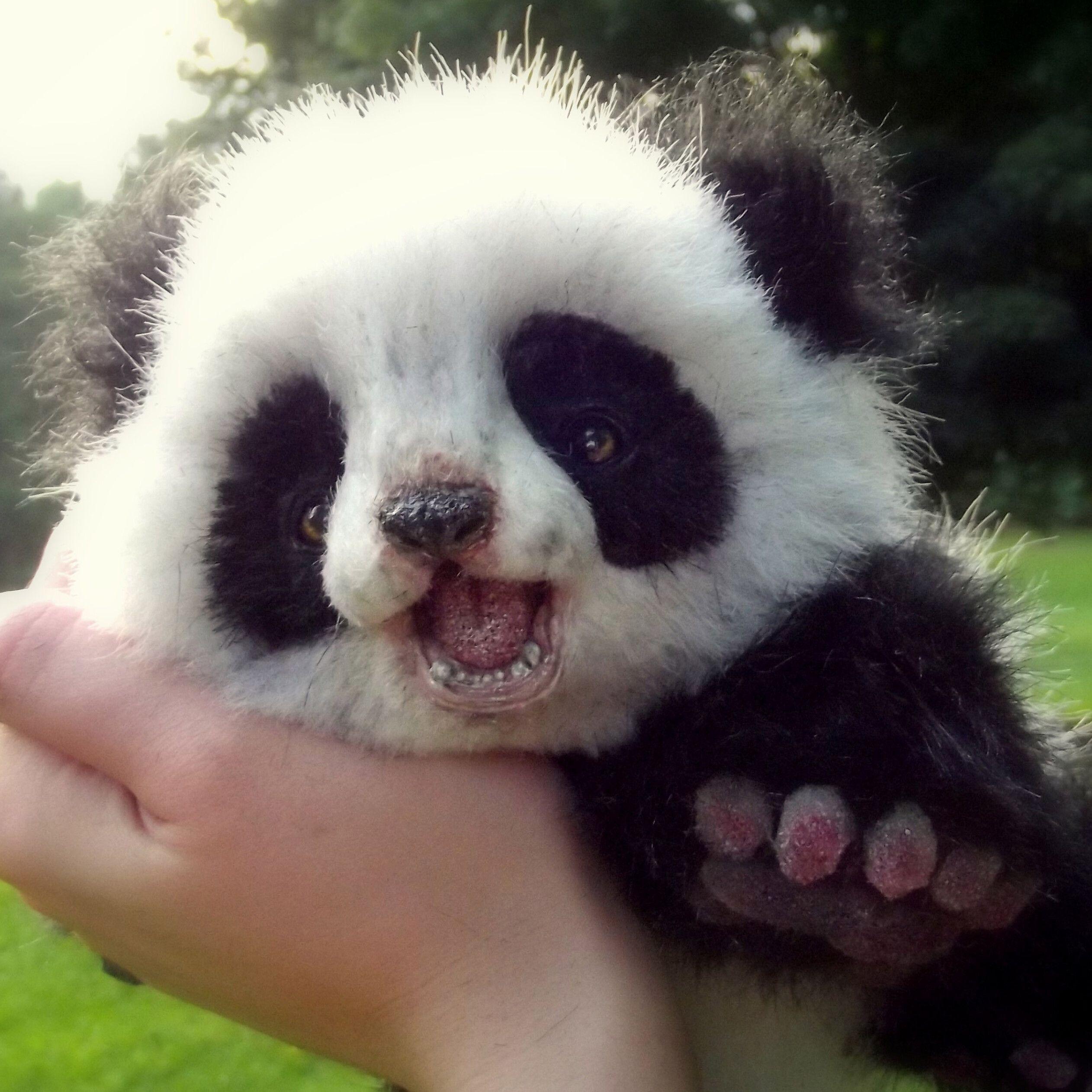 Panda iPad Wallpapers - Top Free Panda iPad Backgrounds - WallpaperAccess