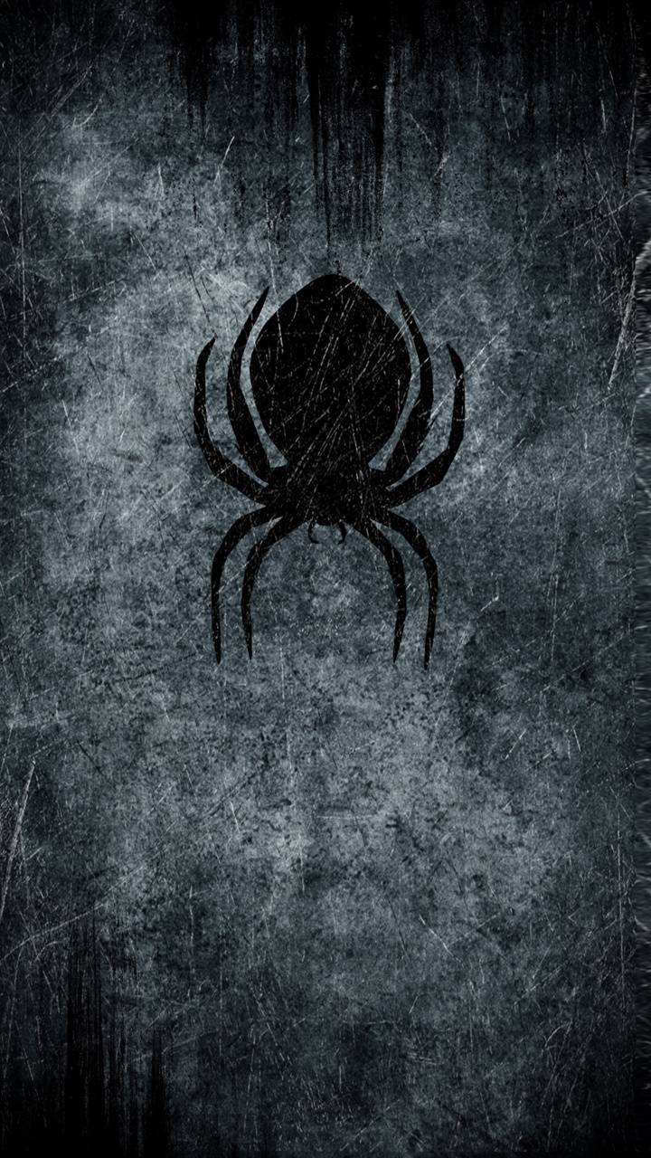 Black Spider Wallpapers - Top Free Black Spider Backgrounds ...