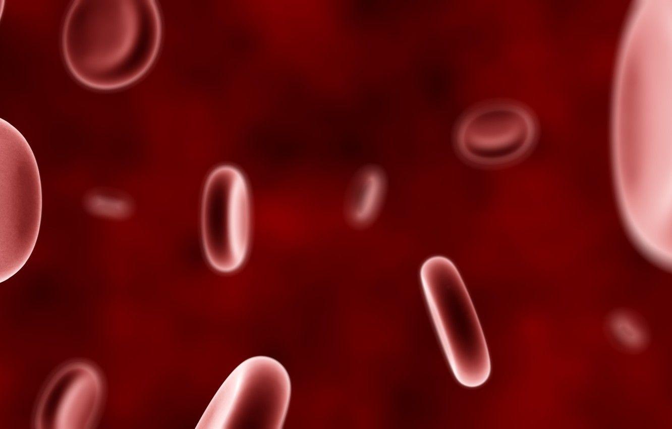 Blood Cells Wallpapers - Top Free Blood Cells Backgrounds - WallpaperAccess