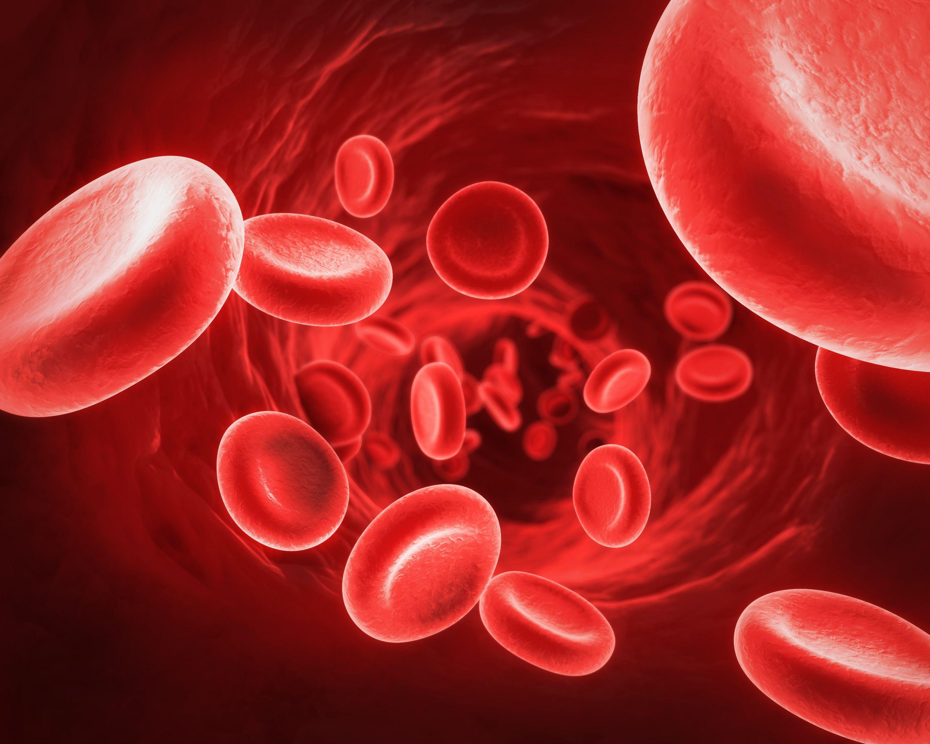 Blood Cells Wallpapers - Top Free Blood Cells Backgrounds - WallpaperAccess