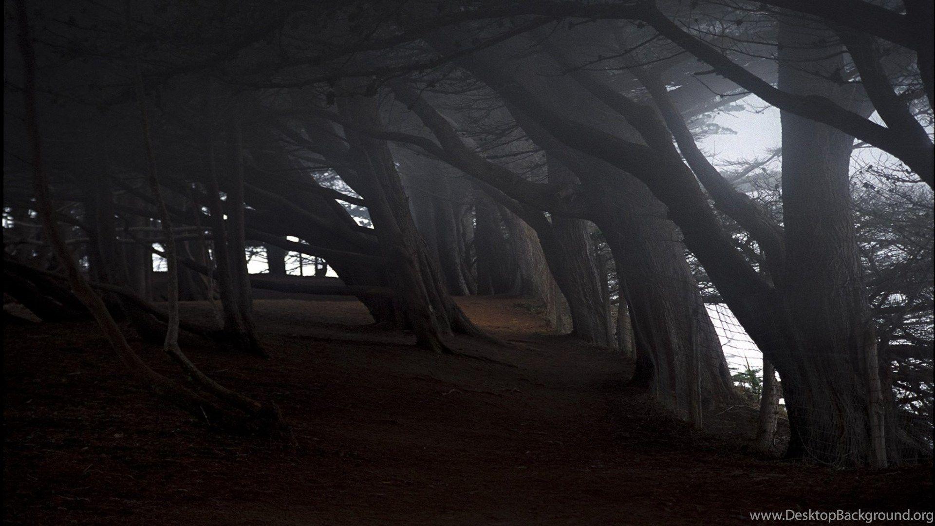 Gloomy 4K Wallpapers - Top Free Gloomy 4K Backgrounds - WallpaperAccess