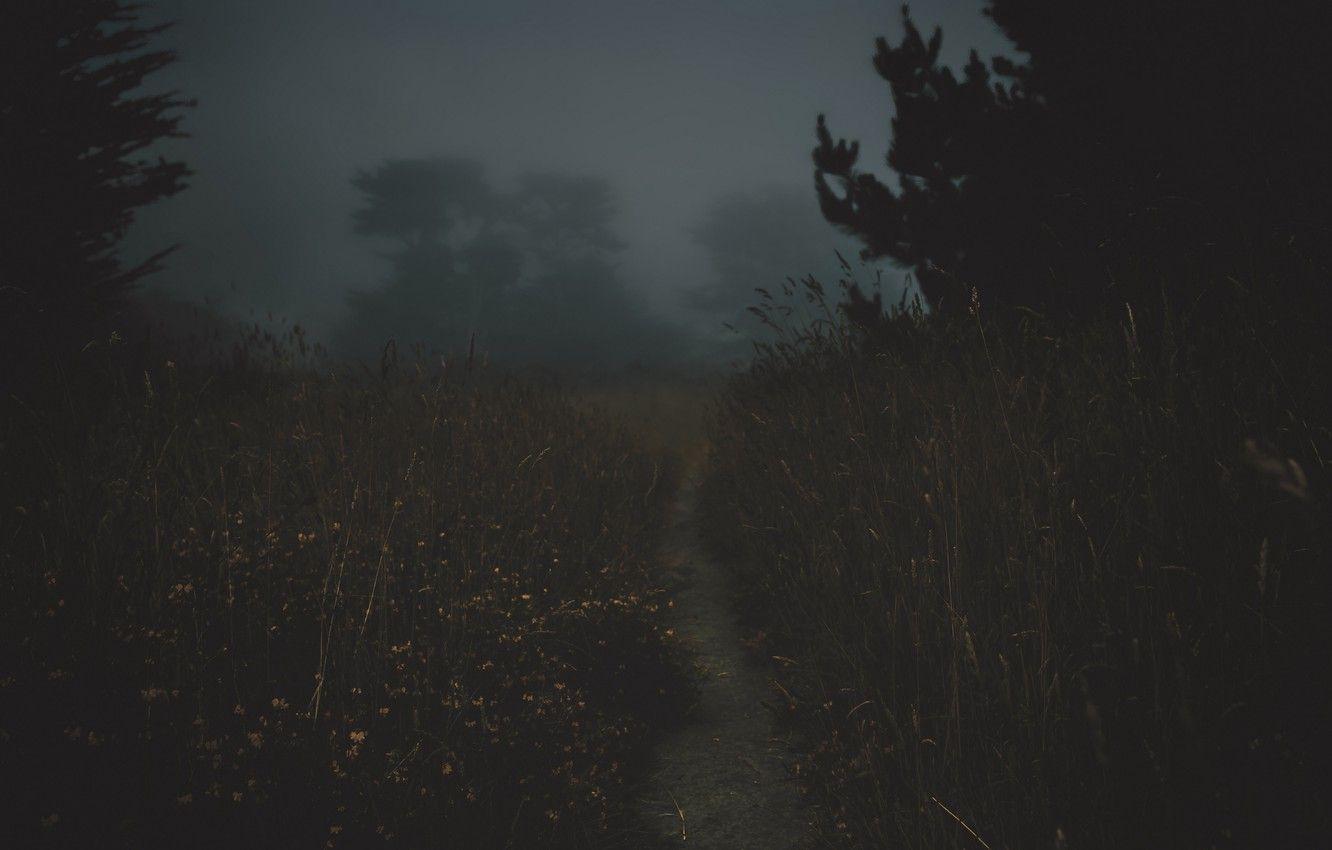 Dark Fog Wallpapers - Top Free Dark Fog Backgrounds - WallpaperAccess