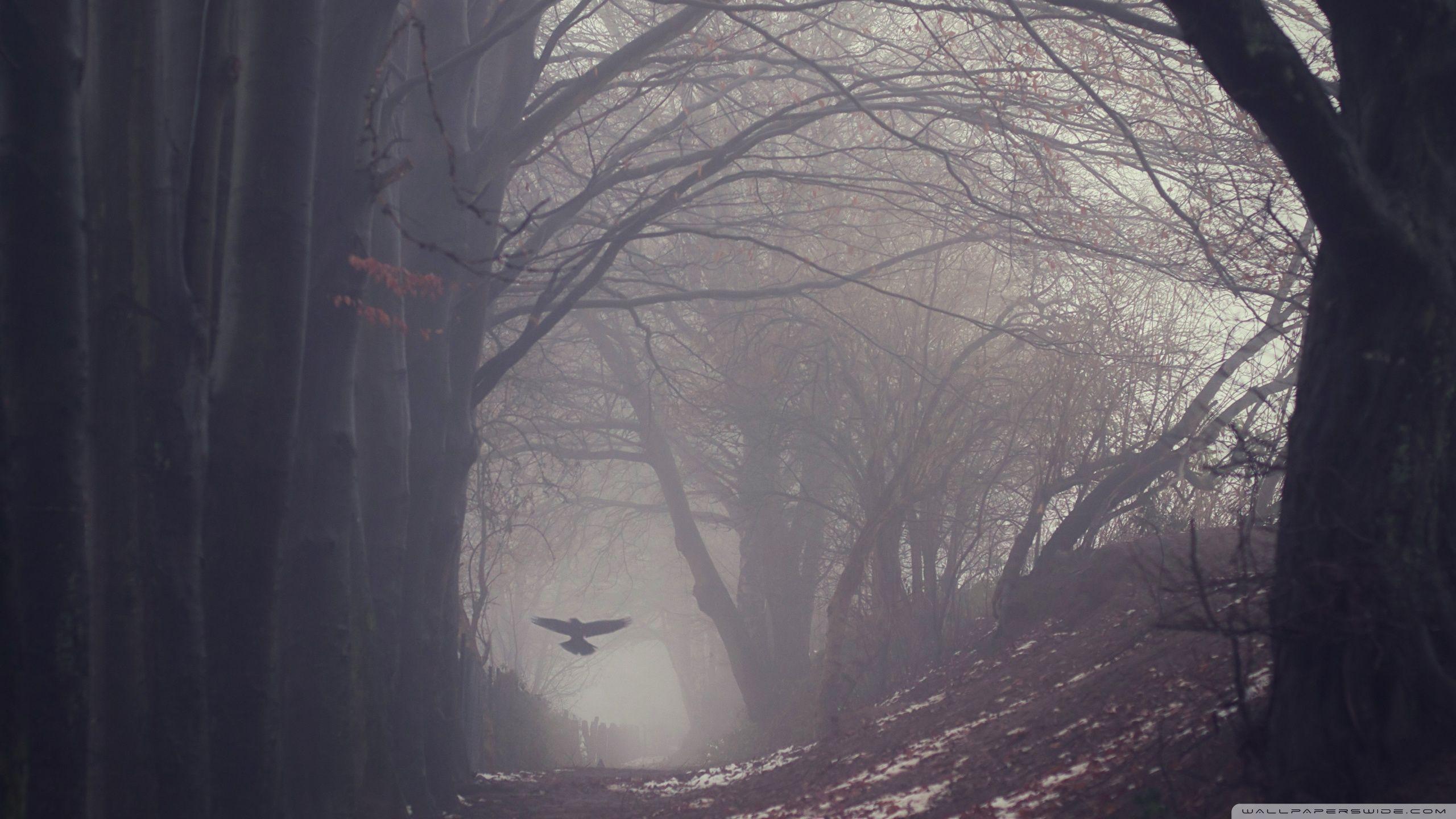 Gloomy 4K Wallpapers - Top Free Gloomy 4K Backgrounds - WallpaperAccess