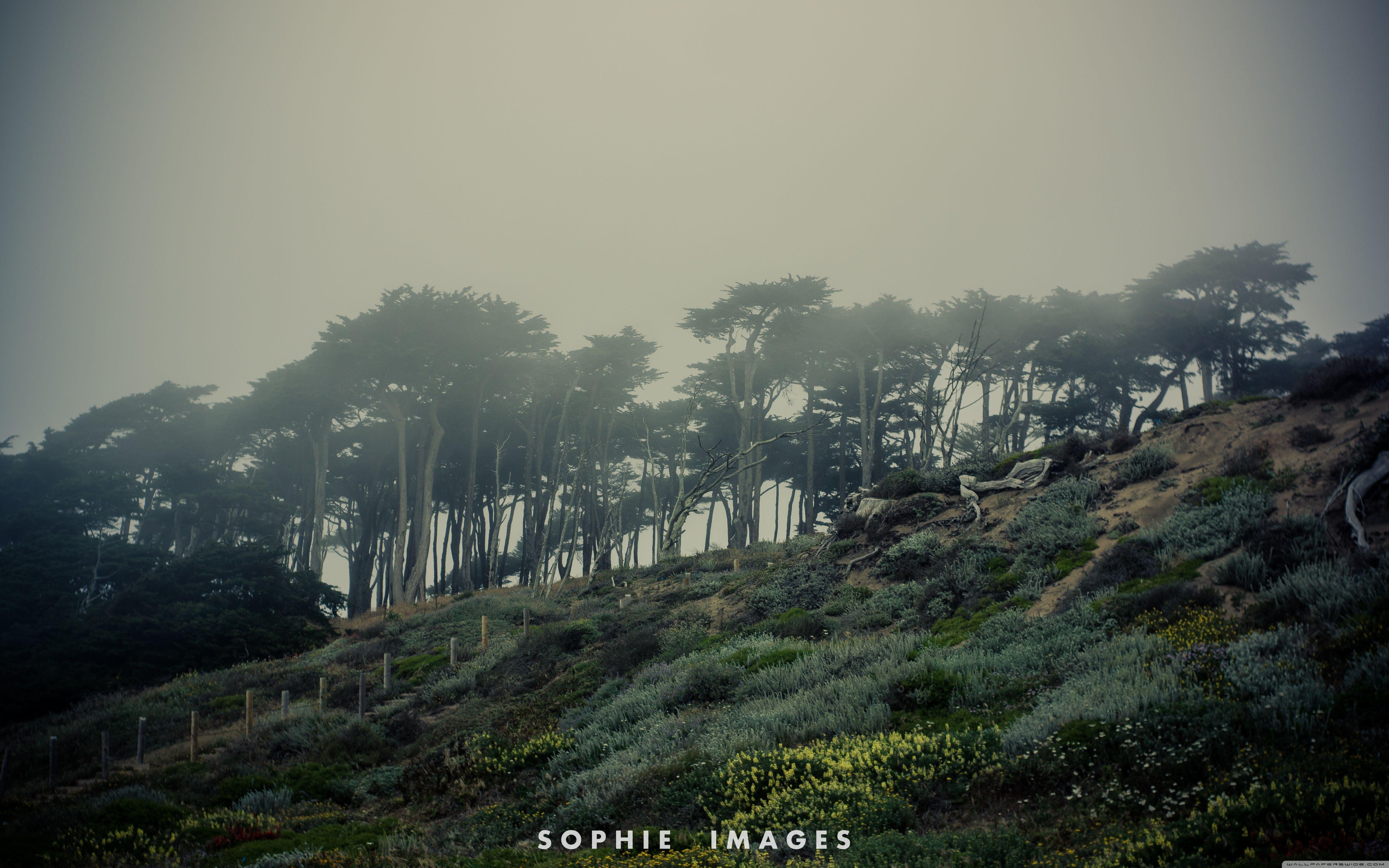 Gloomy 4K Wallpapers - Top Free Gloomy 4K Backgrounds - WallpaperAccess