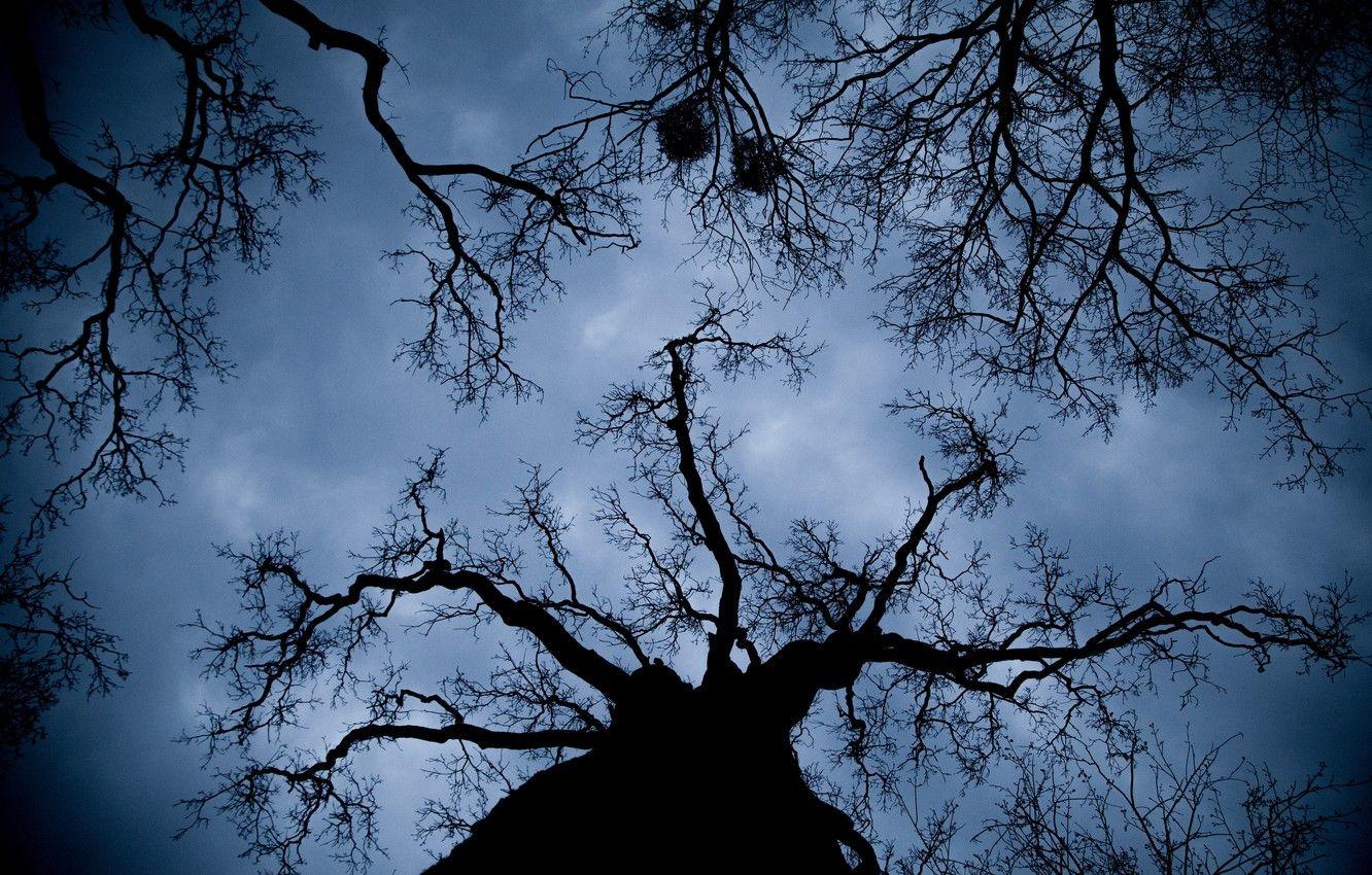 Gloomy 4K Wallpapers - Top Free Gloomy 4K Backgrounds - WallpaperAccess