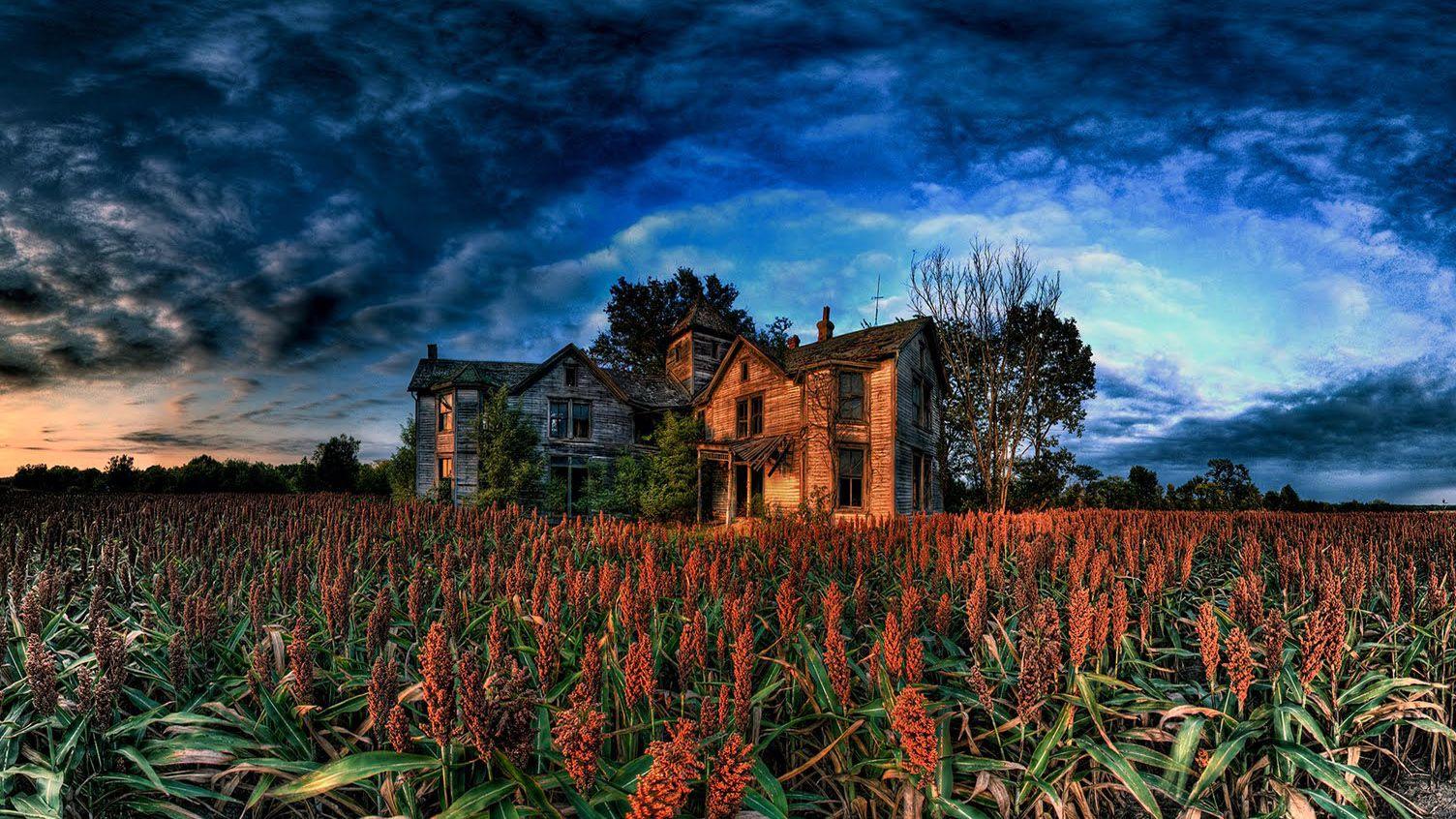 Hi Res Art Wallpapers - Top Free Hi Res Art Backgrounds - WallpaperAccess