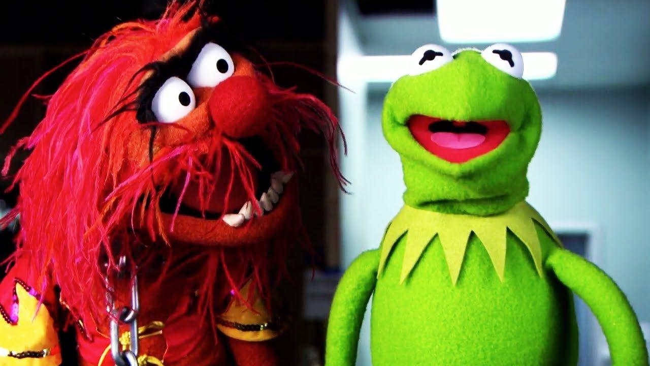 Muppets Most Wanted Wallpapers - Top Free Muppets Most Wanted ...