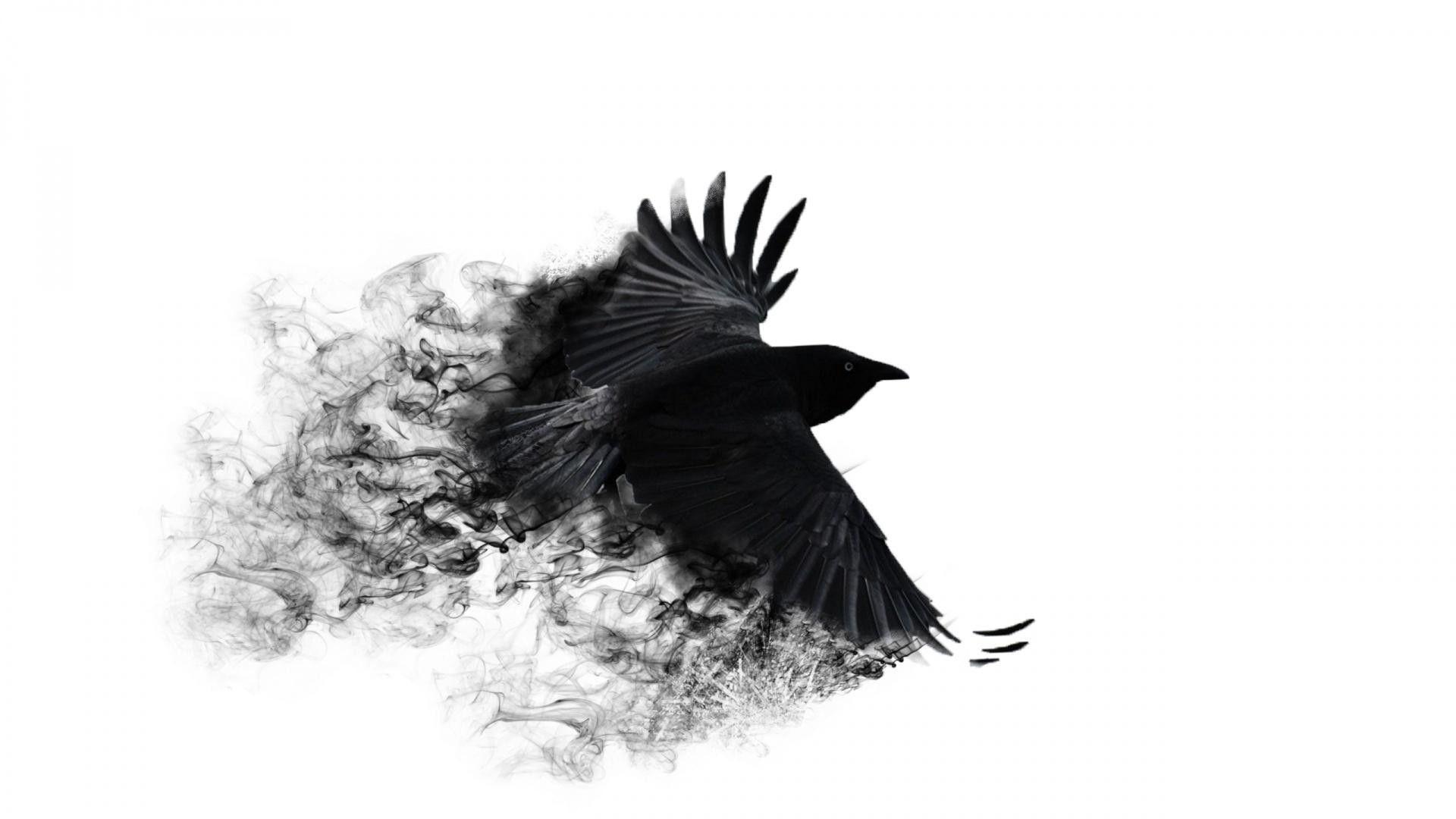 Crow Bird Wallpapers - Top Free Crow Bird Backgrounds - WallpaperAccess