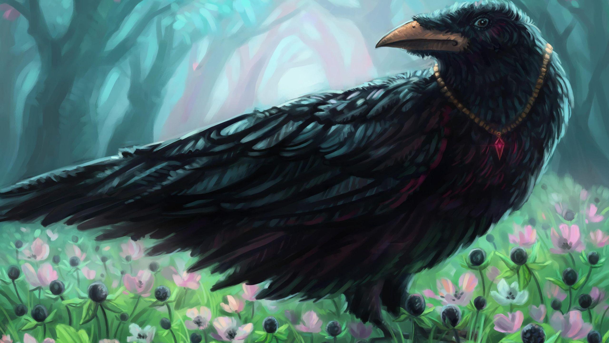 Crow Bird Wallpapers - Top Free Crow Bird Backgrounds - WallpaperAccess