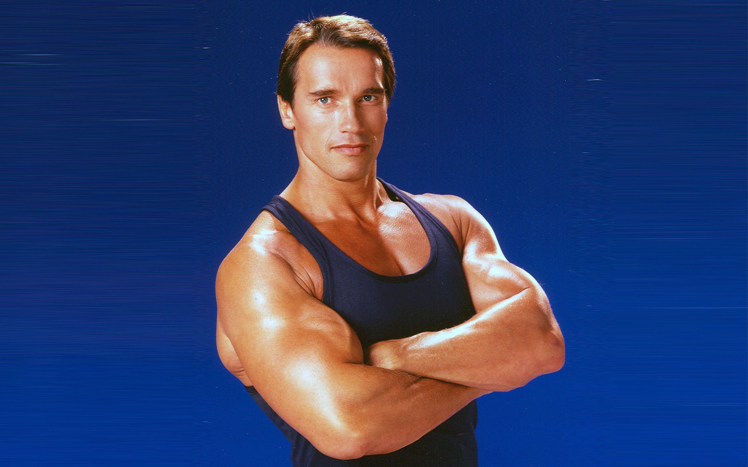 Arnold Desktop Wallpapers - Top Free Arnold Desktop Backgrounds ...