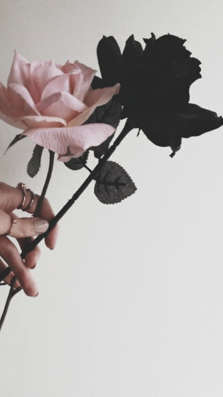 Light Pink and Black Wallpapers - Top Free Light Pink and Black ...