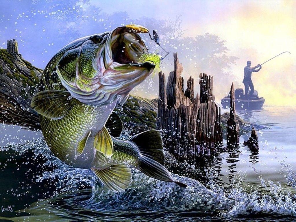 Bass Fish Wallpapers - Top Free Bass Fish Backgrounds - WallpaperAccess