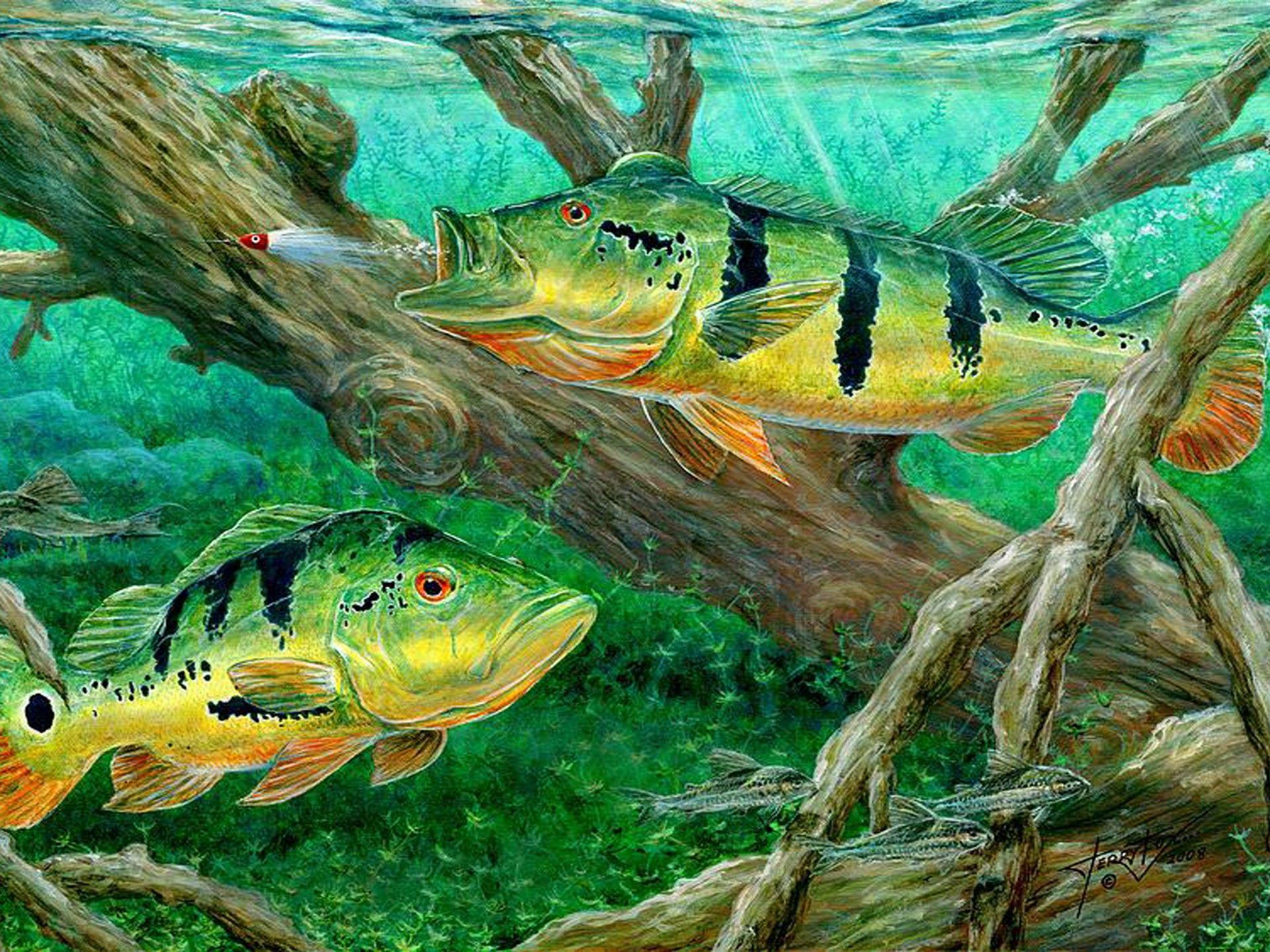 Bass Fish Wallpapers - Top Free Bass Fish Backgrounds - WallpaperAccess