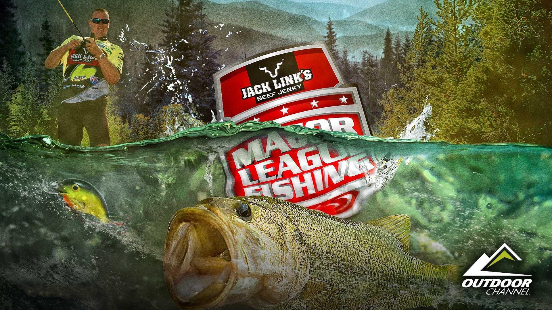 Bass Fish Wallpapers - Top Free Bass Fish Backgrounds - WallpaperAccess