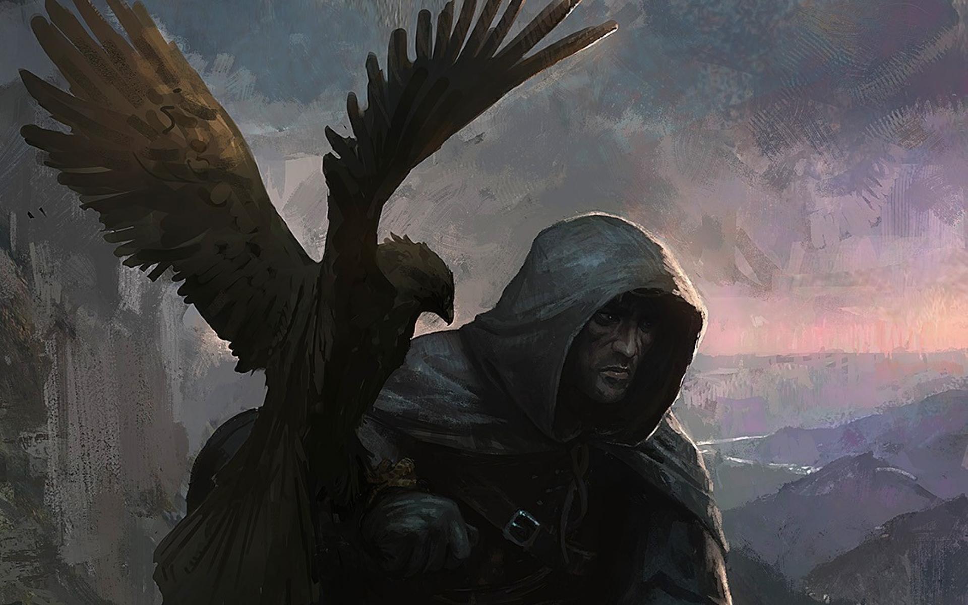 Falconry Wallpapers - Top Free Falconry Backgrounds - WallpaperAccess