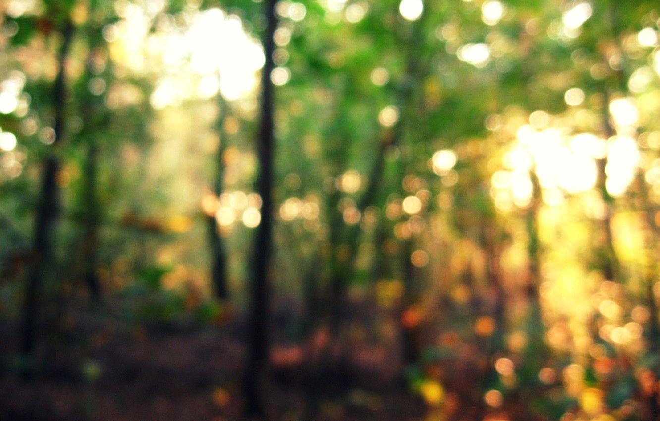 Nature Bokeh Wallpapers - Top Free Nature Bokeh Backgrounds - WallpaperAccess