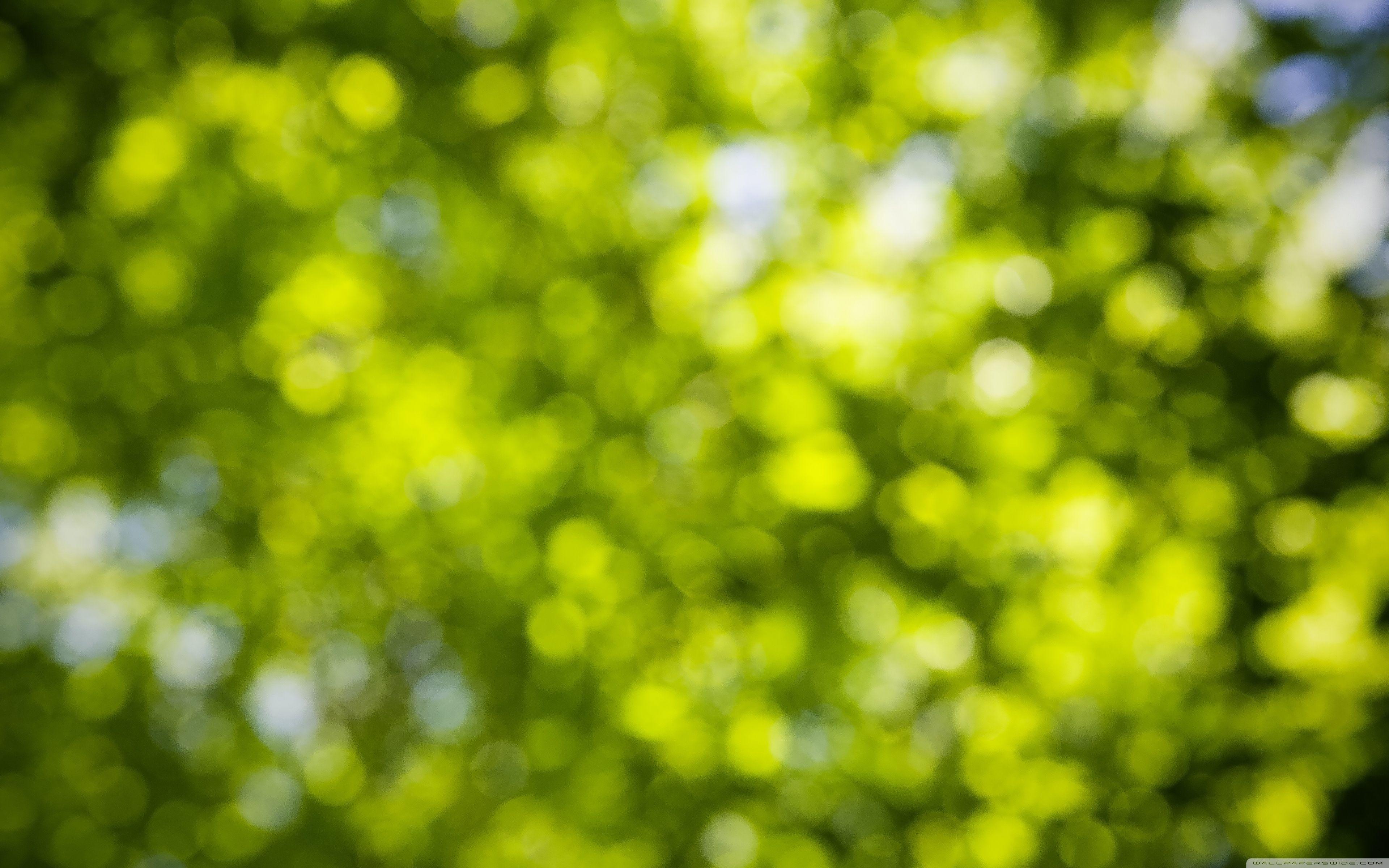 Nature Bokeh Wallpapers - Top Free Nature Bokeh Backgrounds ...