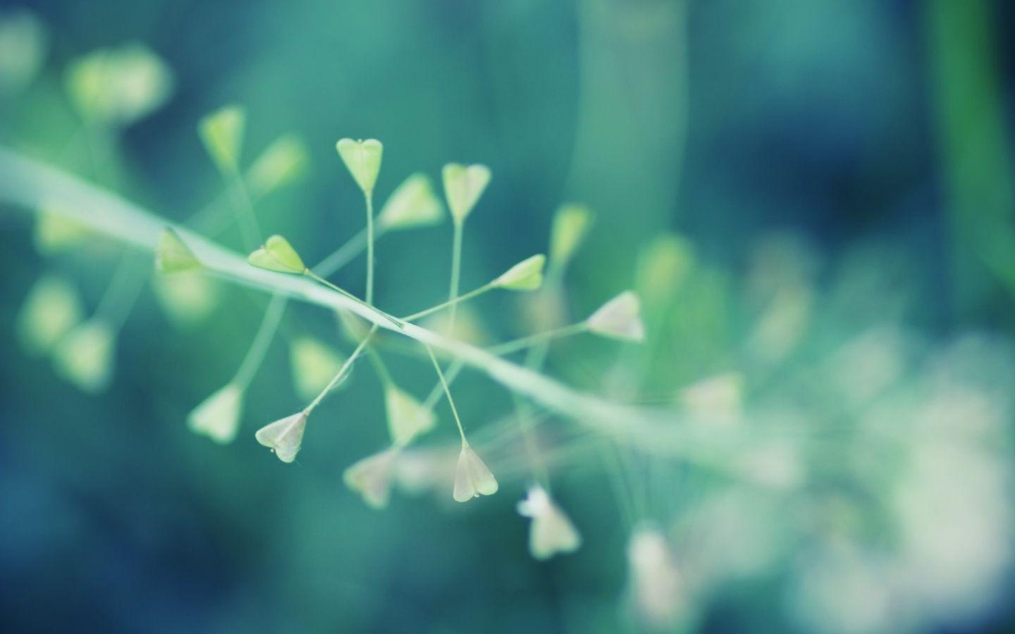 Nature Bokeh Wallpapers - Top Free Nature Bokeh Backgrounds - WallpaperAccess