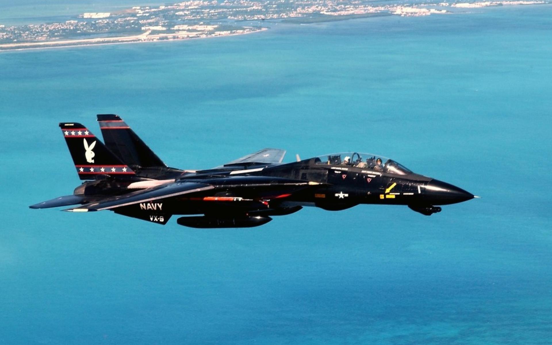 Tomcat Wallpapers - Top Free Tomcat Backgrounds - WallpaperAccess