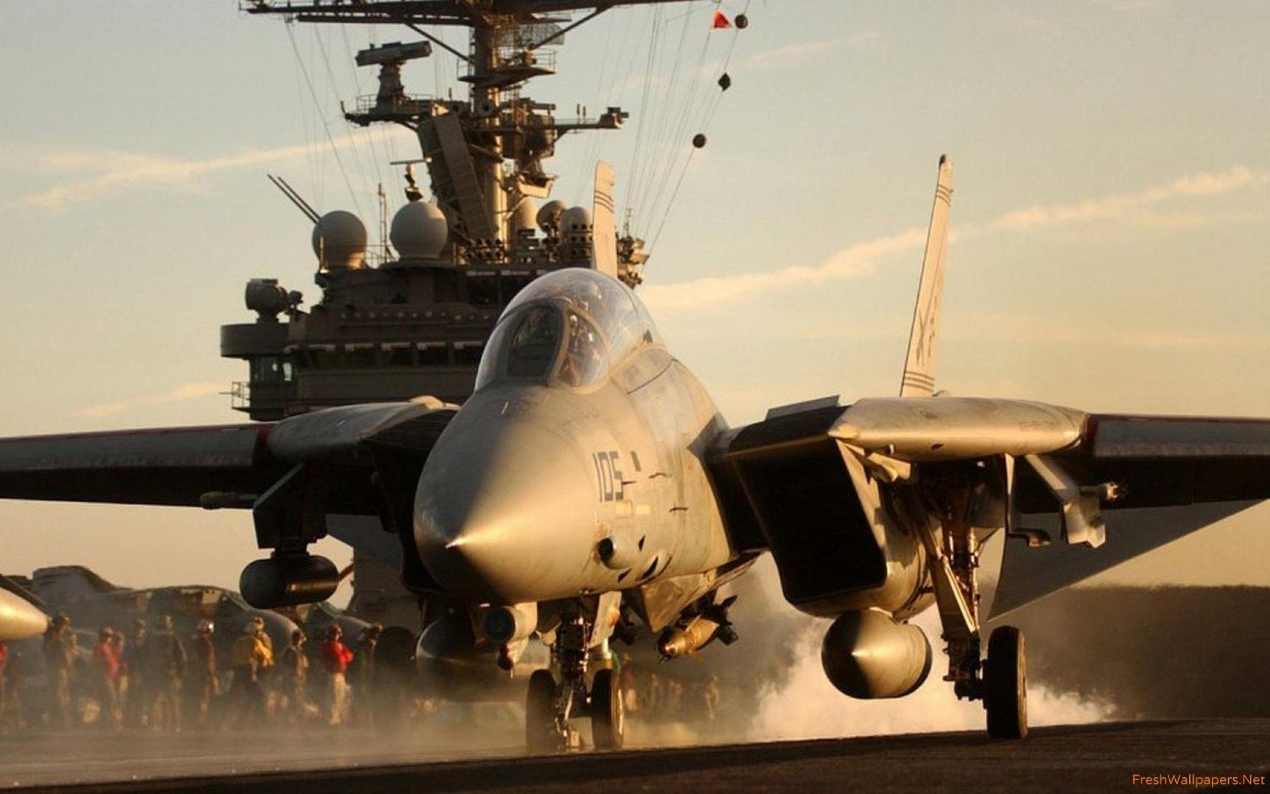 Tomcat Wallpapers - Top Free Tomcat Backgrounds - WallpaperAccess