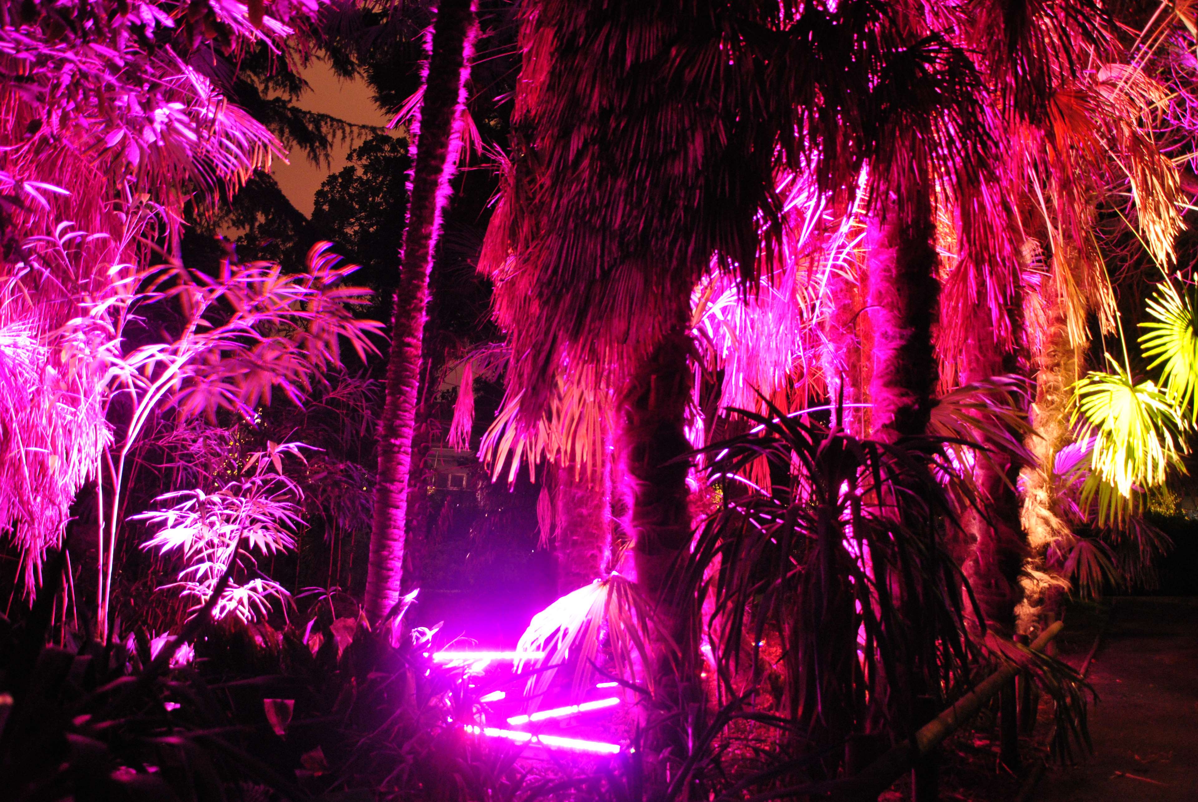 Bright Neon Desktop Wallpapers - Top Free Bright Neon Desktop ...