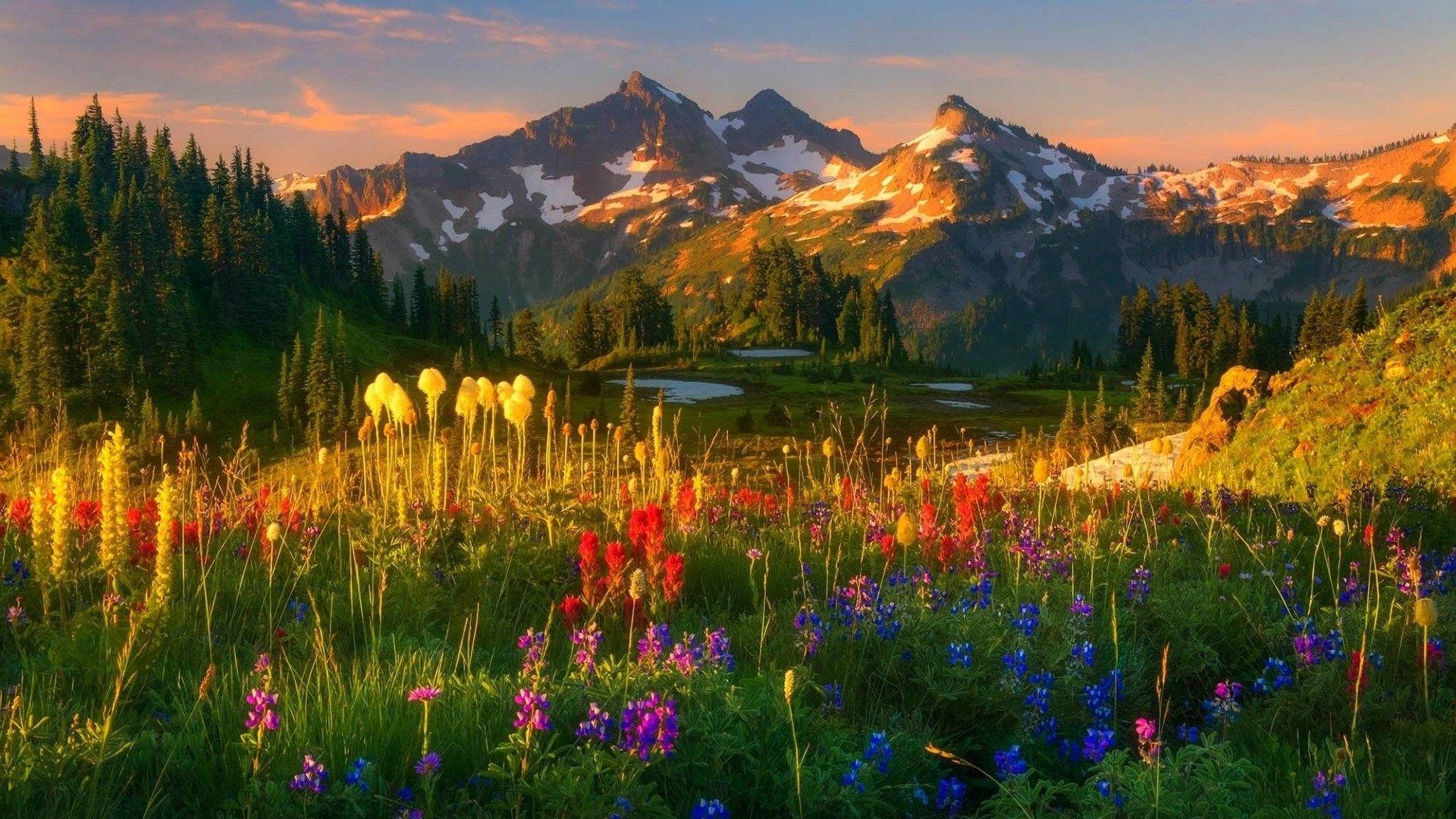 Belarus Scenery Wallpapers - Top Free Belarus Scenery Backgrounds ...