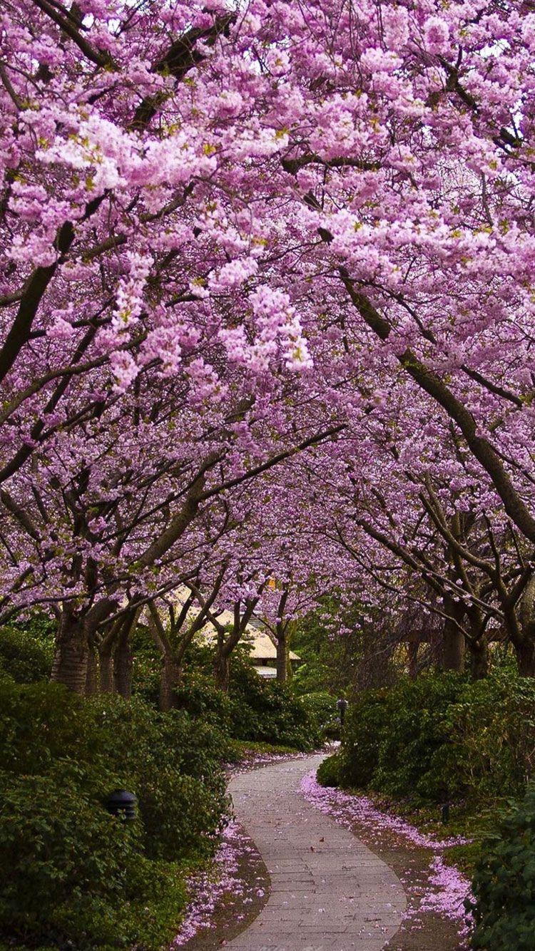Think Spring Wallpapers - Top Free Think Spring Backgrounds ...