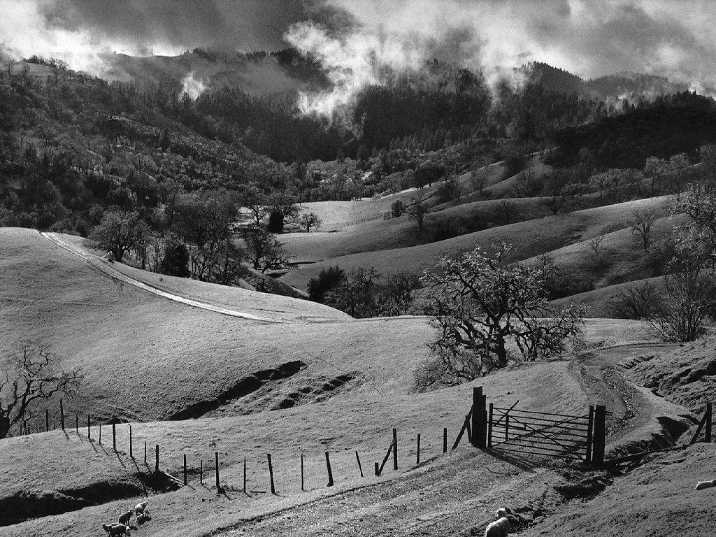 Ansel Adams Wallpapers - Top Free Ansel Adams Backgrounds - WallpaperAccess