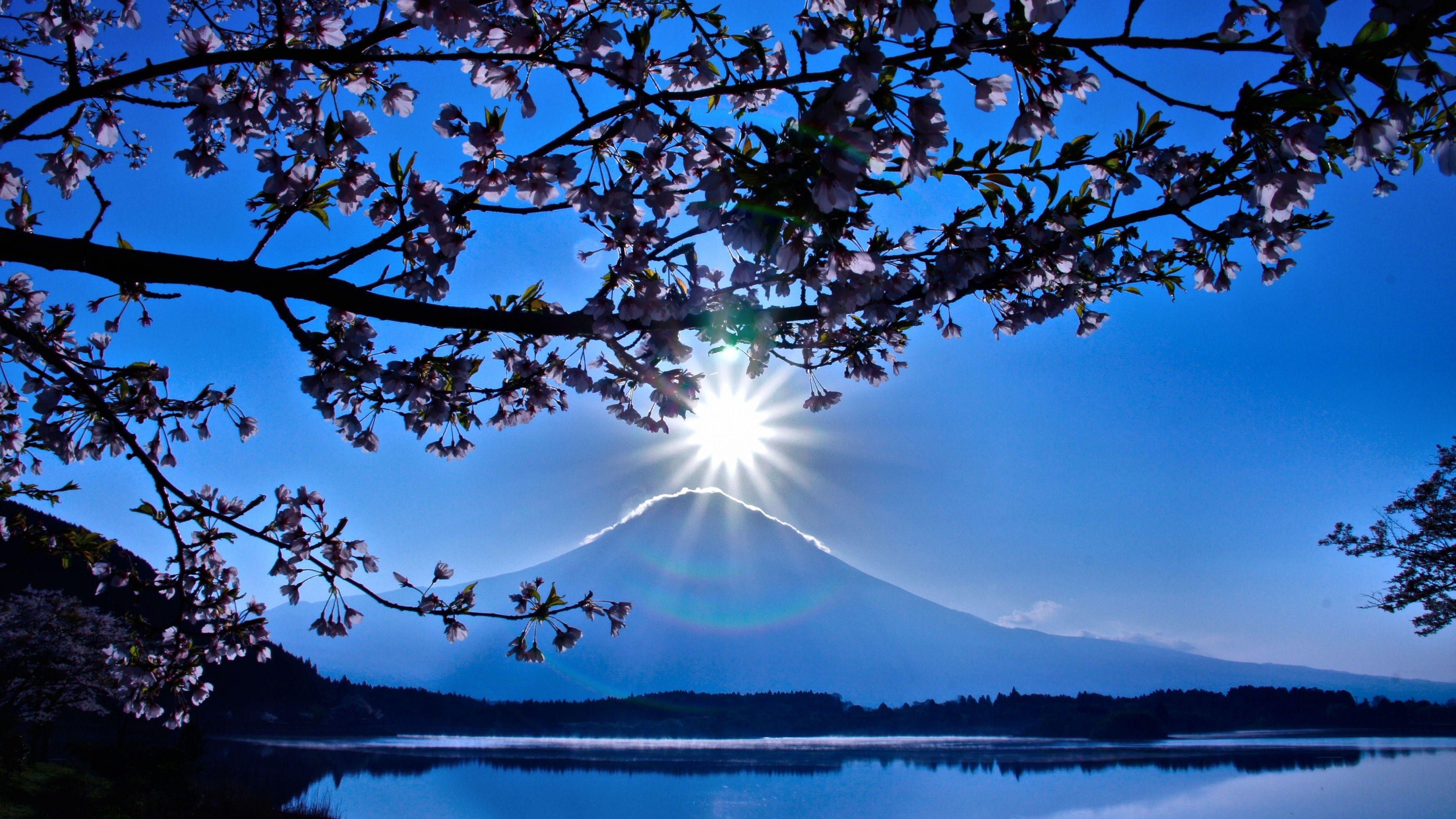Japanese Beautiful Nature Wallpapers - Top Free Japanese Beautiful ...