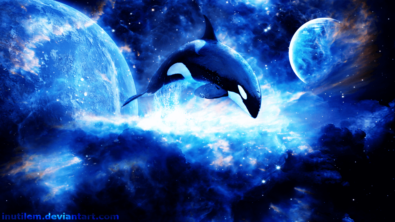 Orca Whale Wallpapers - Top Free Orca Whale Backgrounds - WallpaperAccess