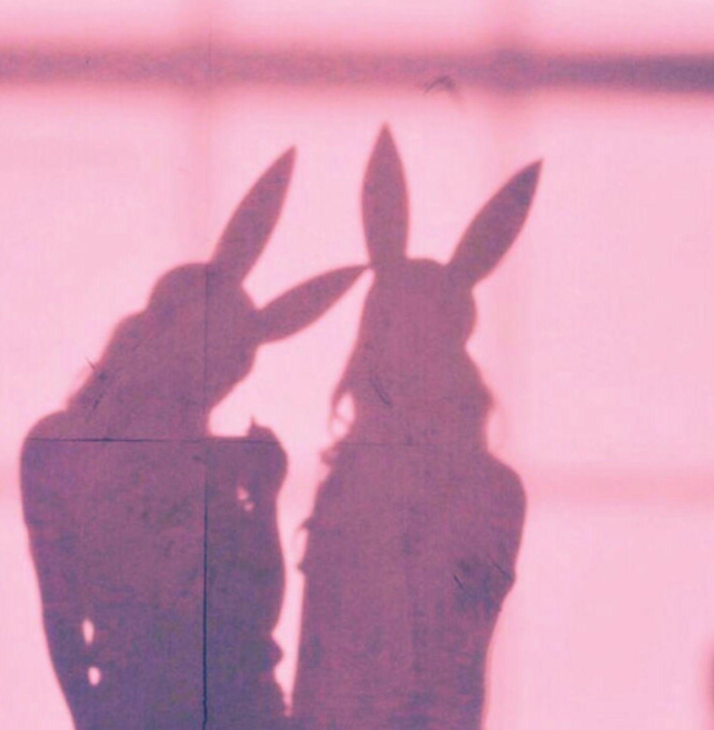 Aesthetic Bunny Wallpapers - Top Free Aesthetic Bunny Backgrounds ...