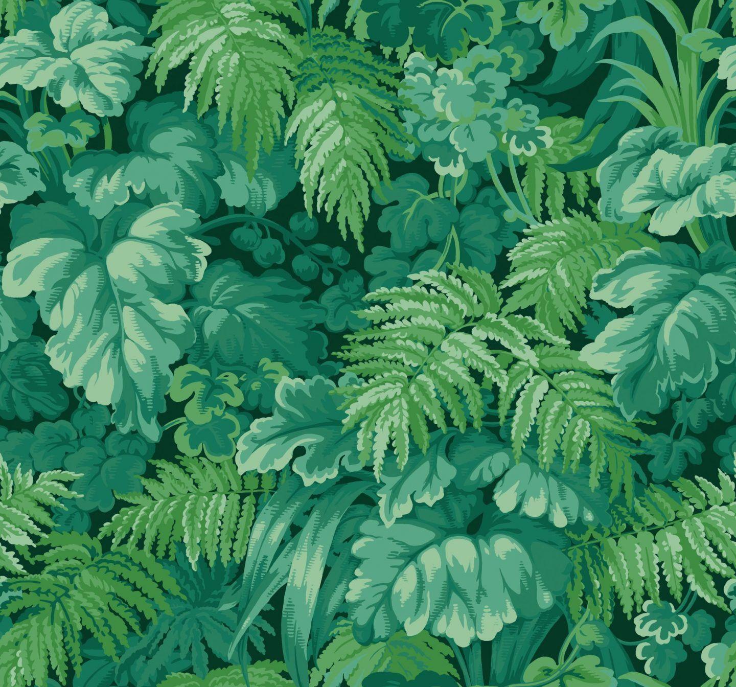 Jungle Green Wallpapers - Top Free Jungle Green Backgrounds ...