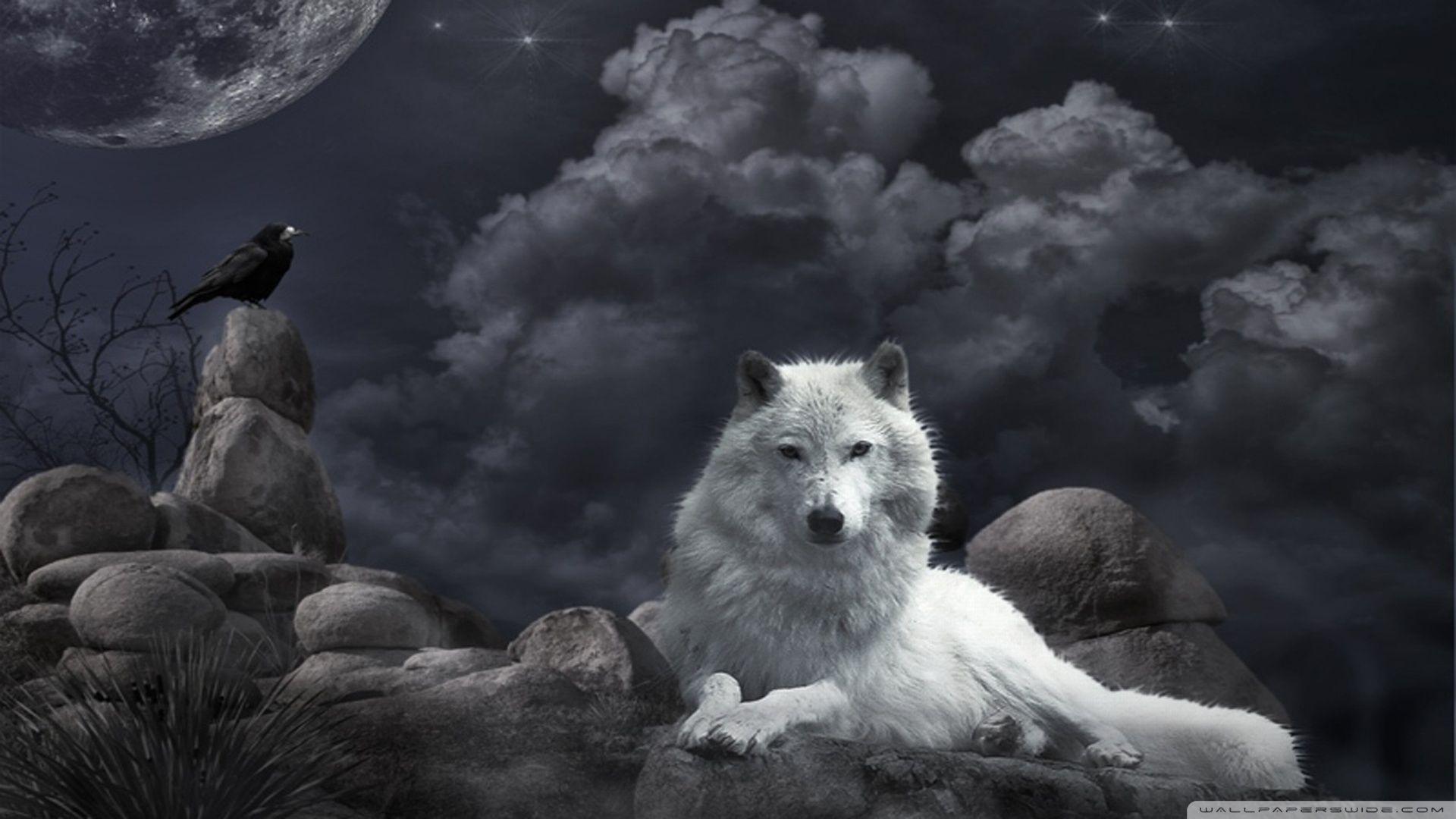 White Fang Wallpapers - Top Free White Fang Backgrounds - WallpaperAccess