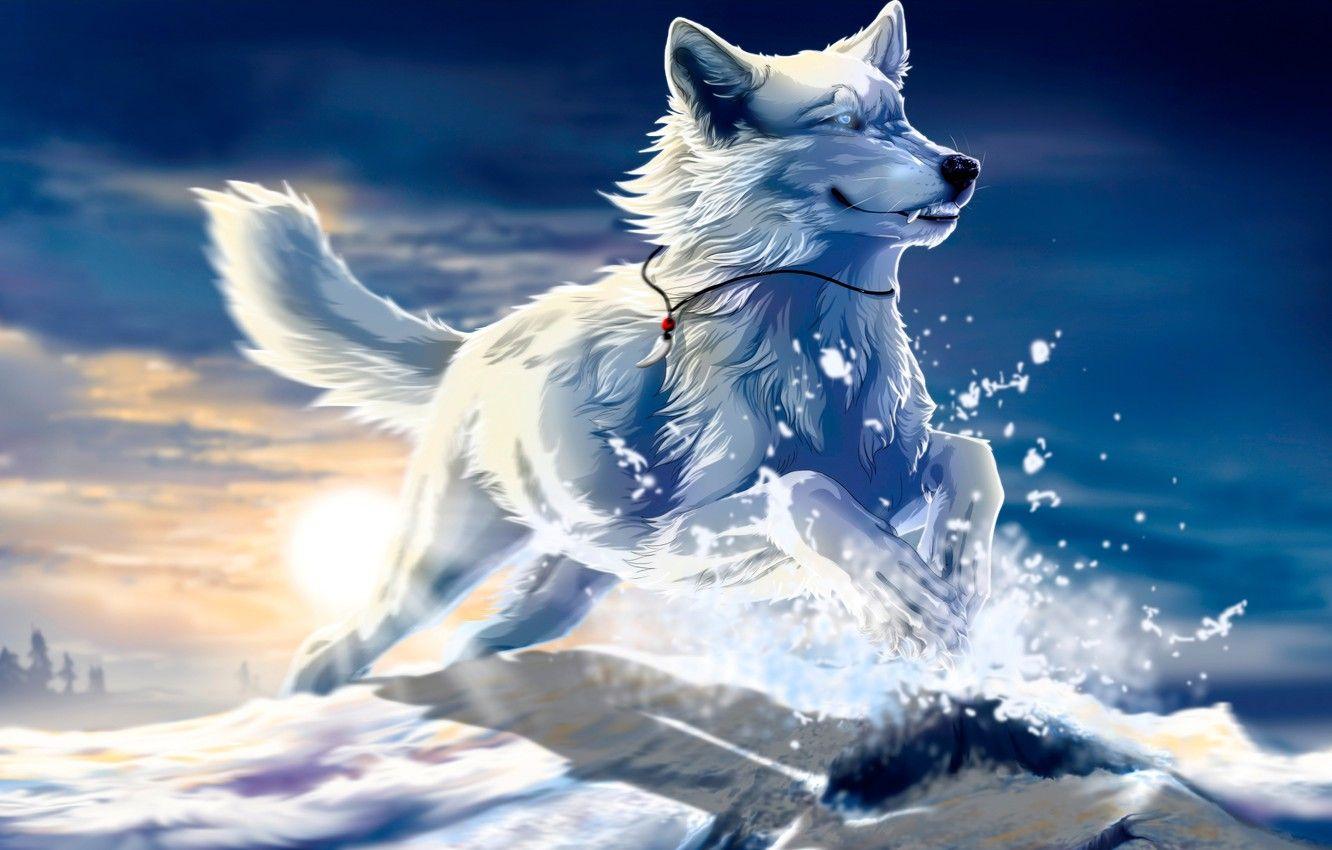 White Fang Wallpapers - Top Free White Fang Backgrounds - WallpaperAccess