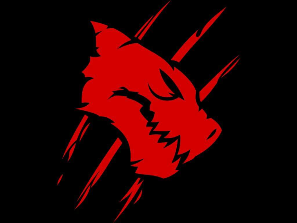 White Fang Wallpapers - Top Free White Fang Backgrounds - WallpaperAccess