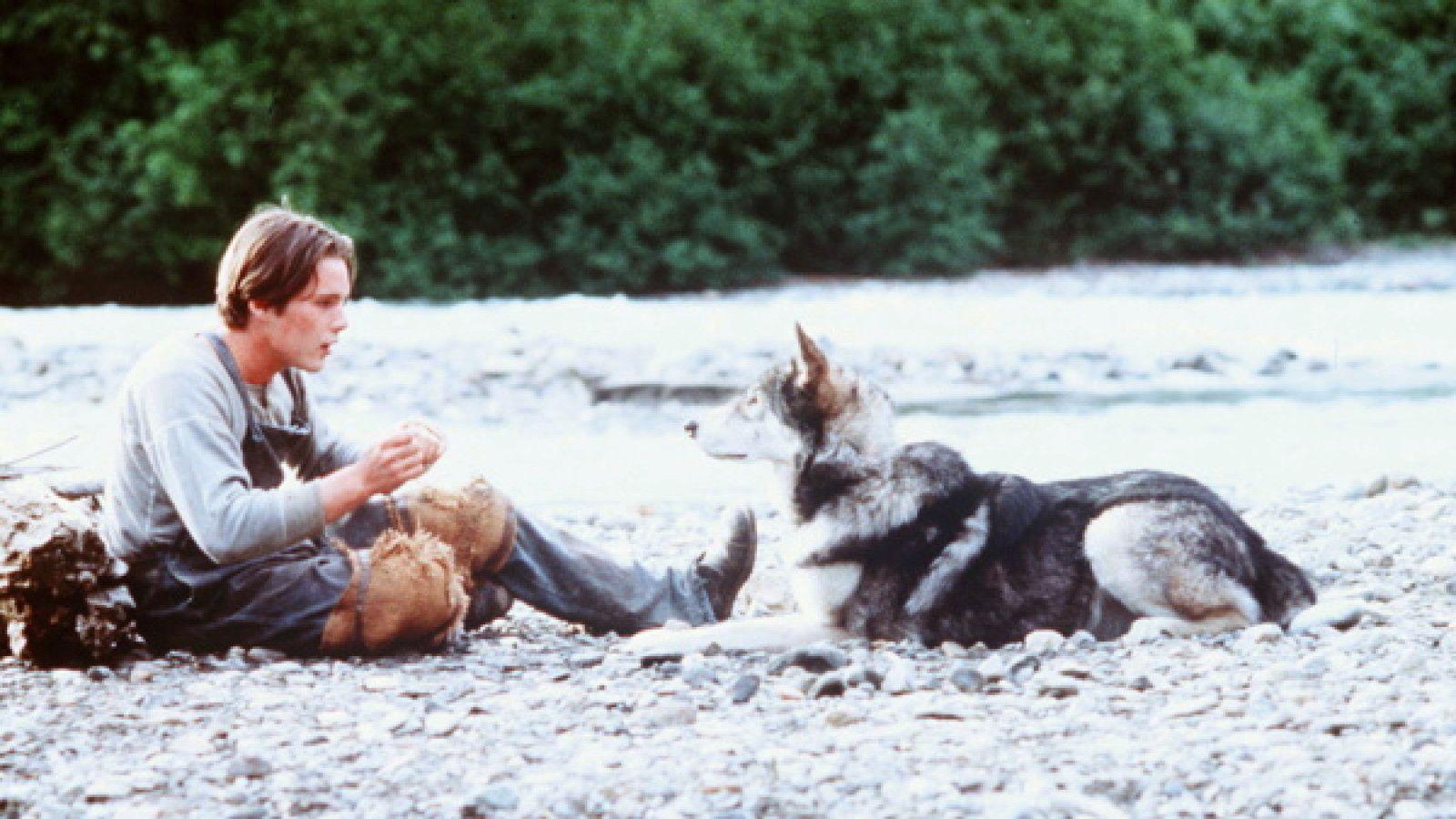 White Fang Wallpapers - Top Free White Fang Backgrounds - WallpaperAccess