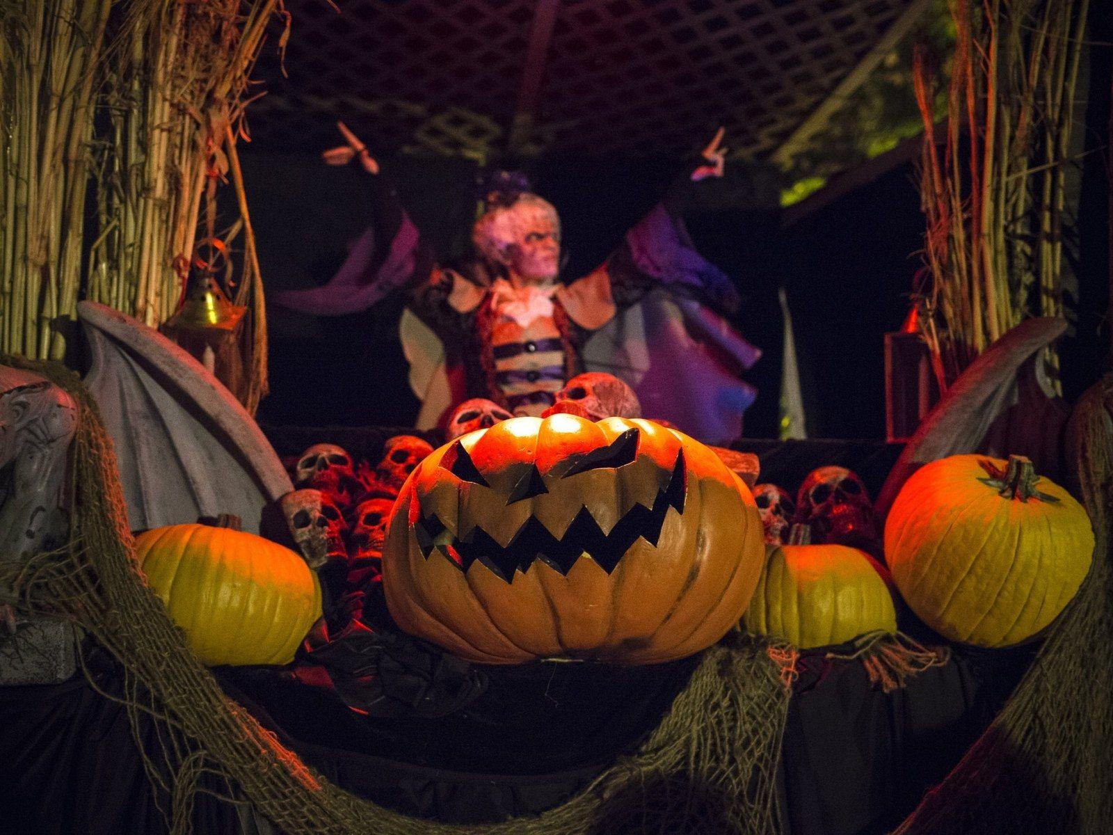 Halloweentown Wallpapers - Top Free Halloweentown Backgrounds ...