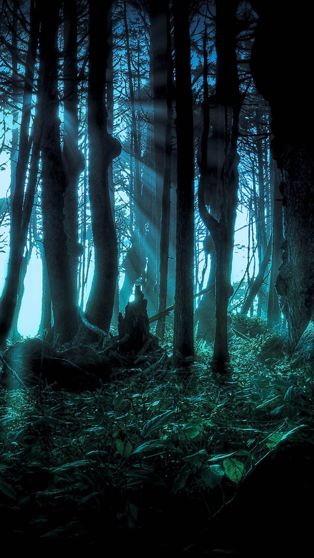 Dark Anime Forest Wallpapers - Top Free Dark Anime Forest Backgrounds ...