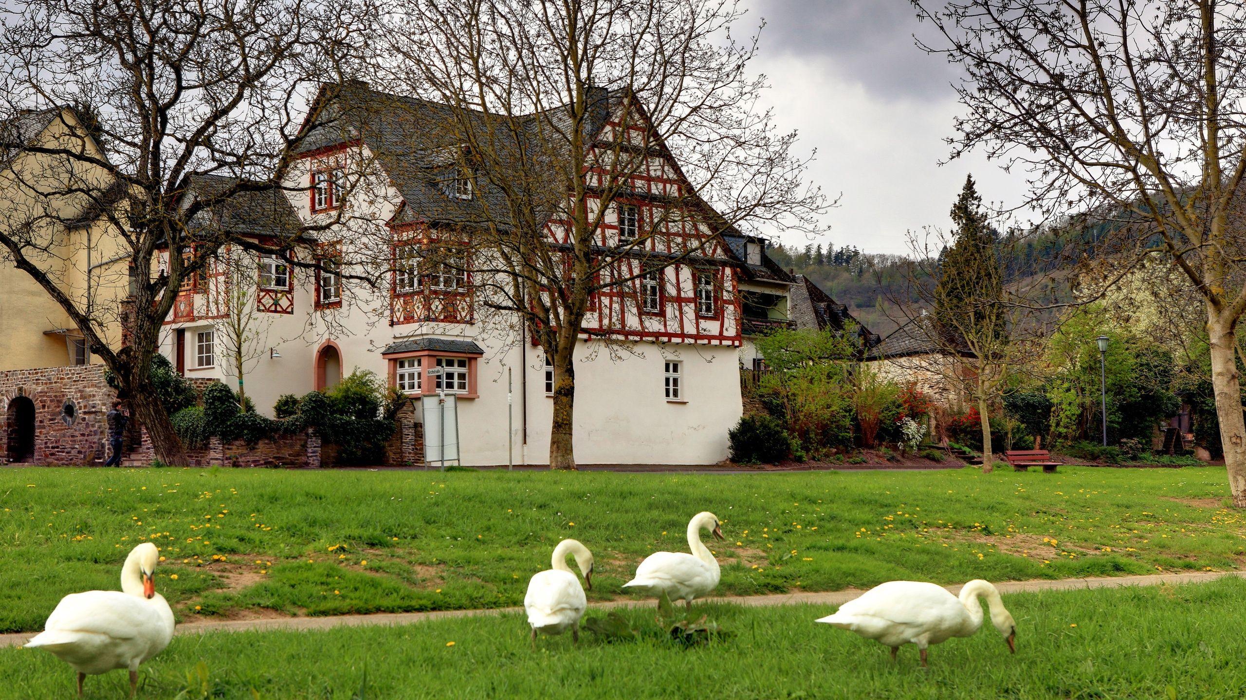 German Countryside Wallpapers - Top Free German Countryside Backgrounds ...